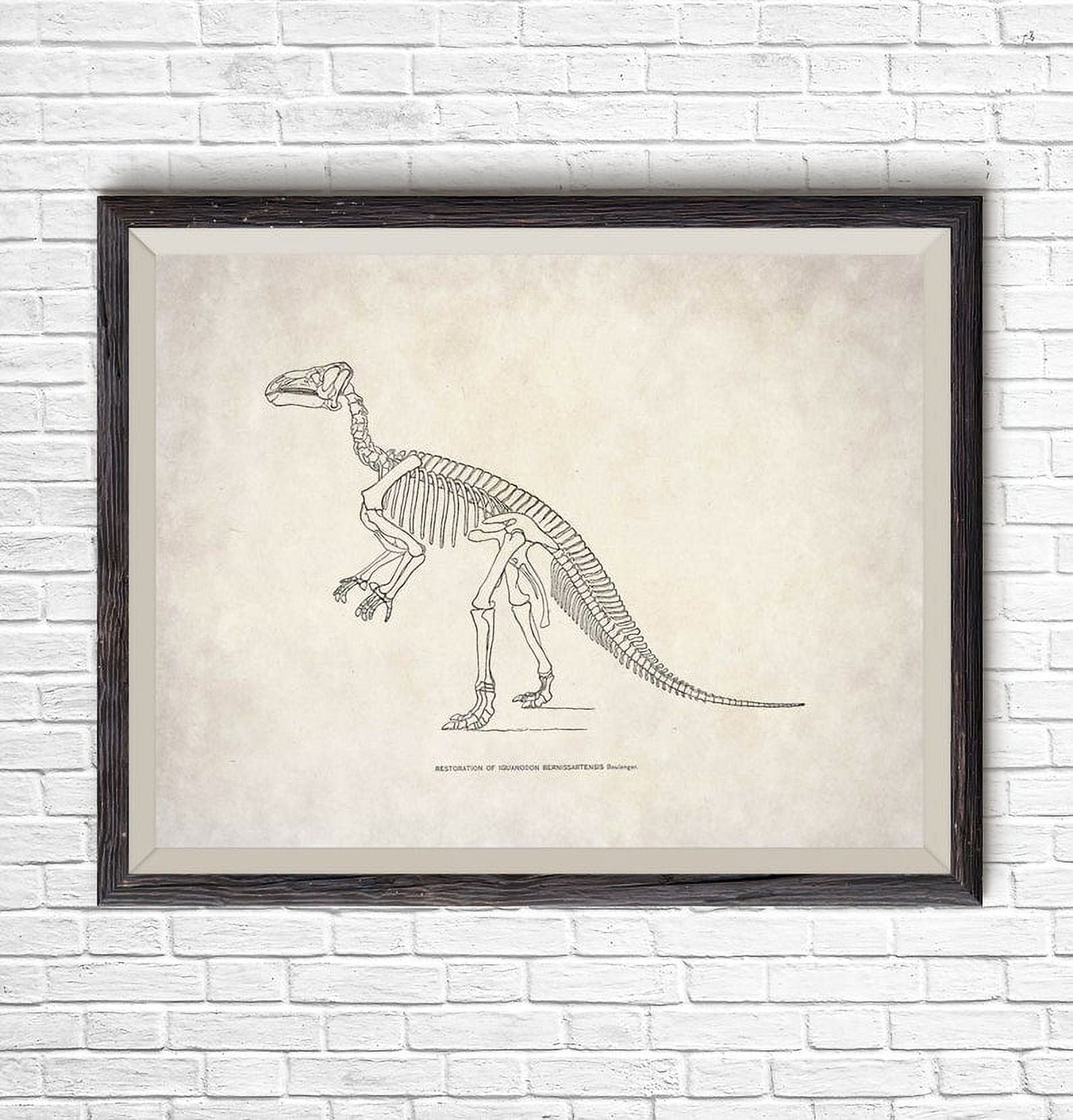 POSTER Dinosaur Iguanodon Dinosaur print, anatomy print, dinosaur art ...