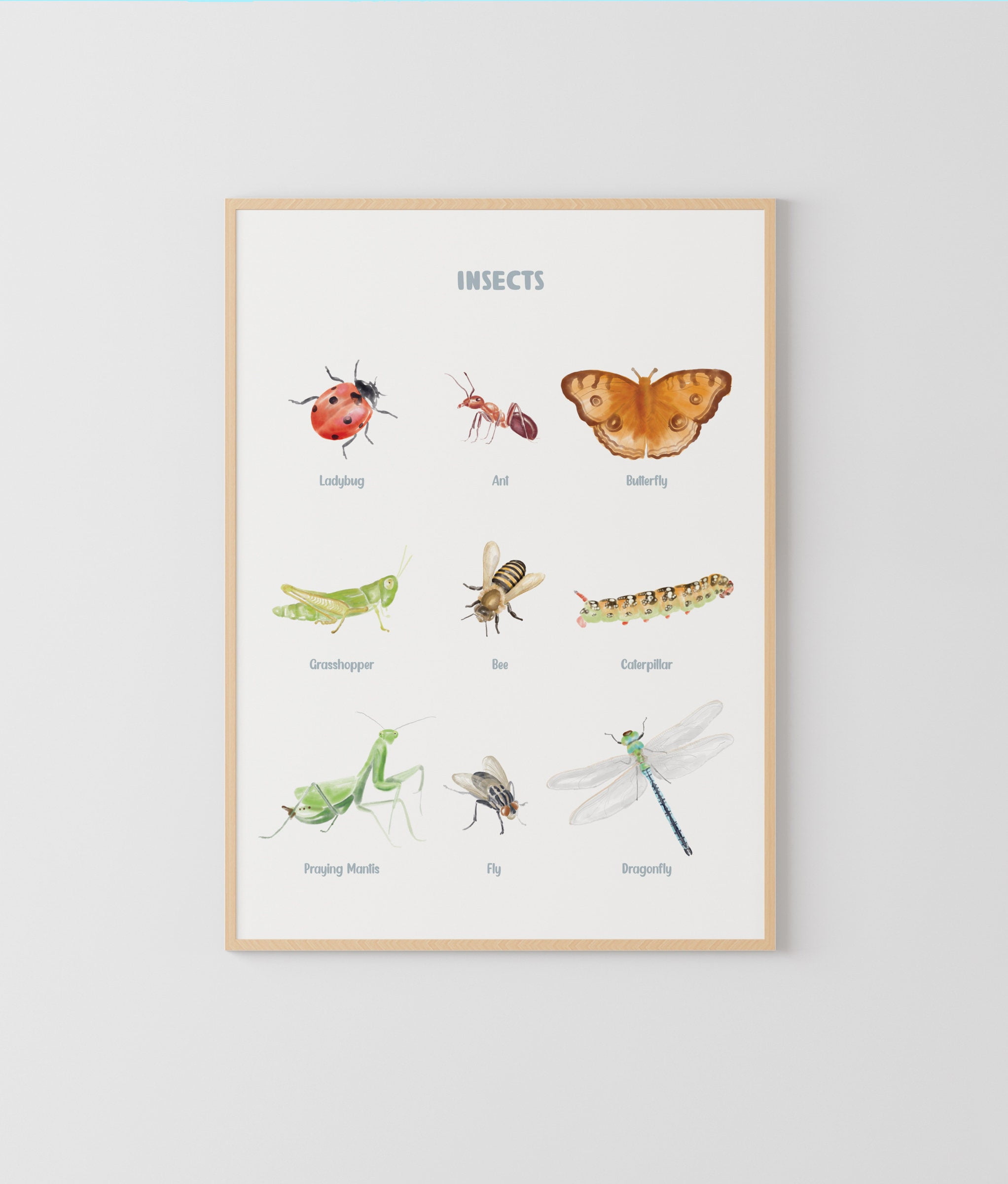 POSTER Educational Insects Poster, Bugs Print, Wall Art, Montessori ...
