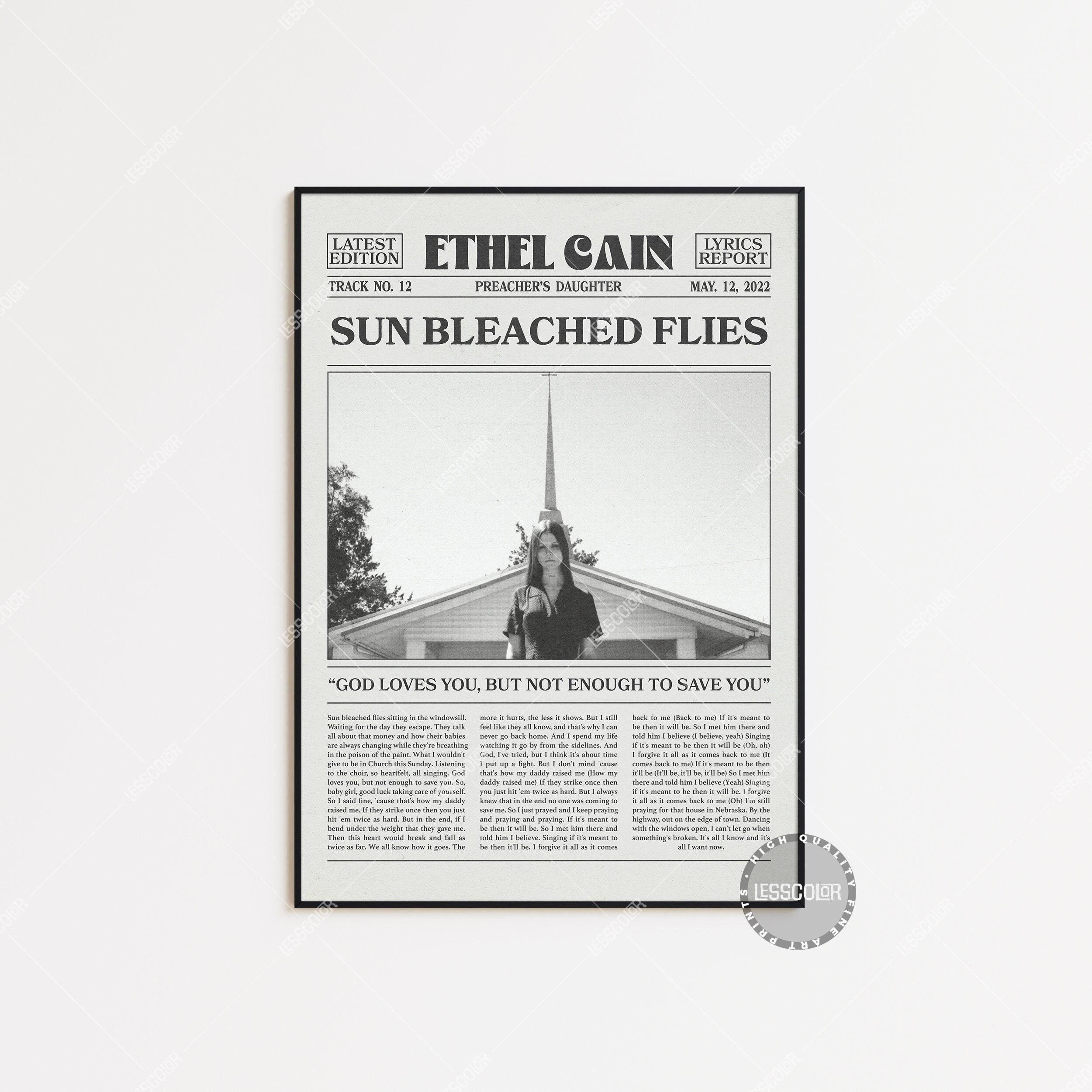 POSTER Ethel Cain Retro Newspaper Print, Sun Bleached Flies Poster ...