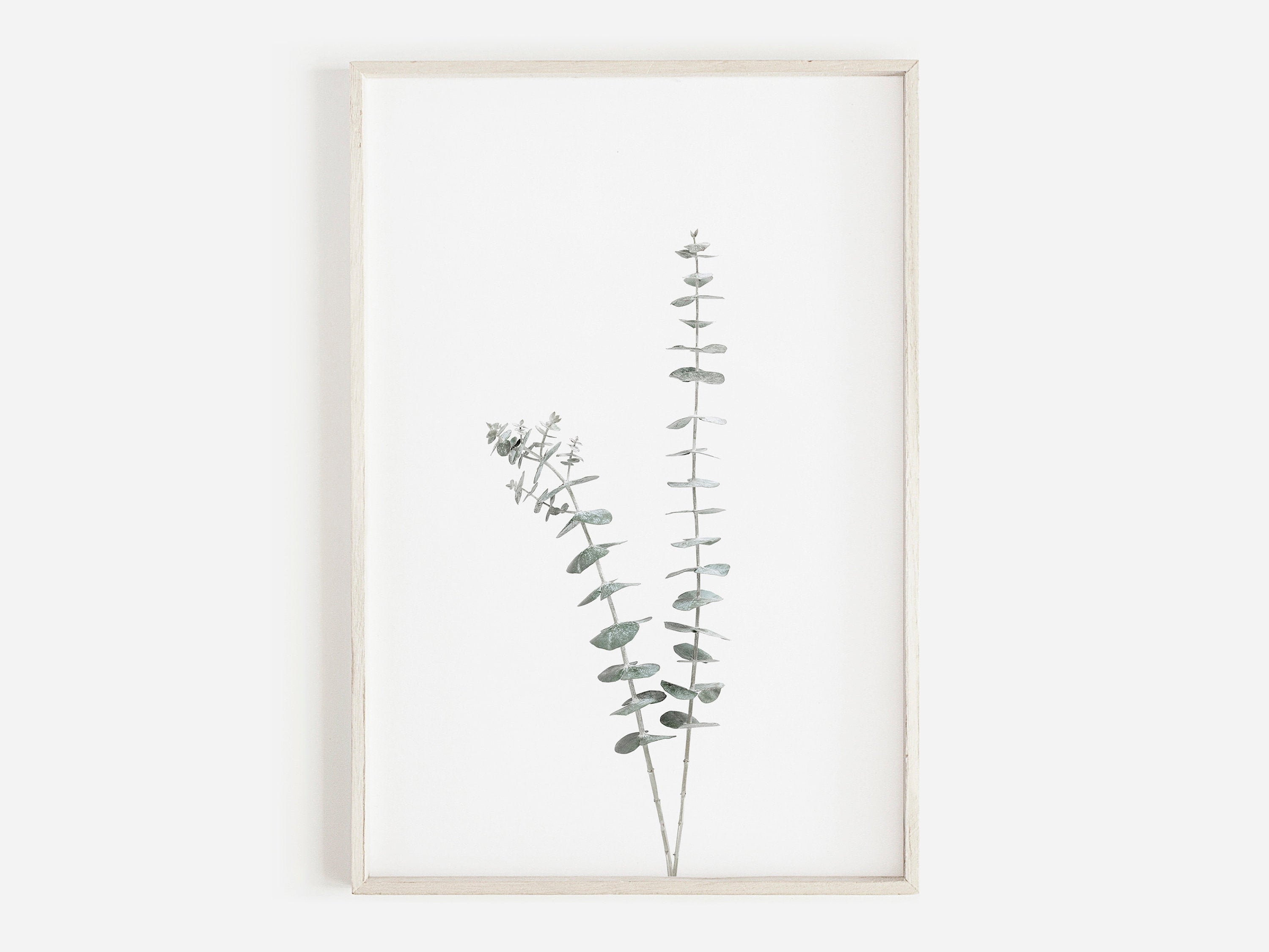 POSTER Eucalyptus Branch Wall Art, DIY Eucalyptus , Botanical Print ...