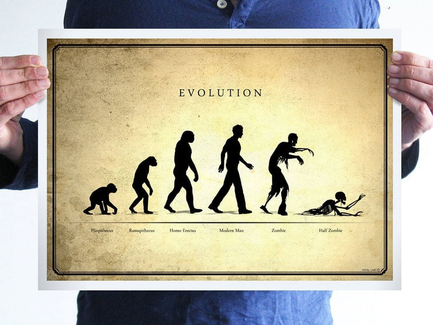 POSTER Evolution poster,Zombie Evolution,zombie poster,Darwin poster ...