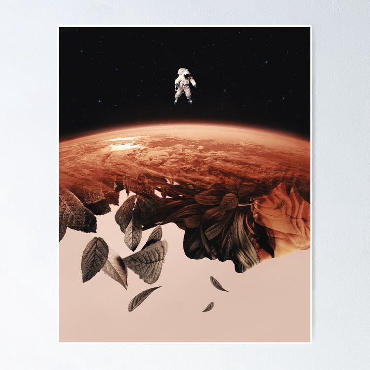 POSTER Fade into a Dream POSTER UNFRAMED, 8x12 - Walmart.com