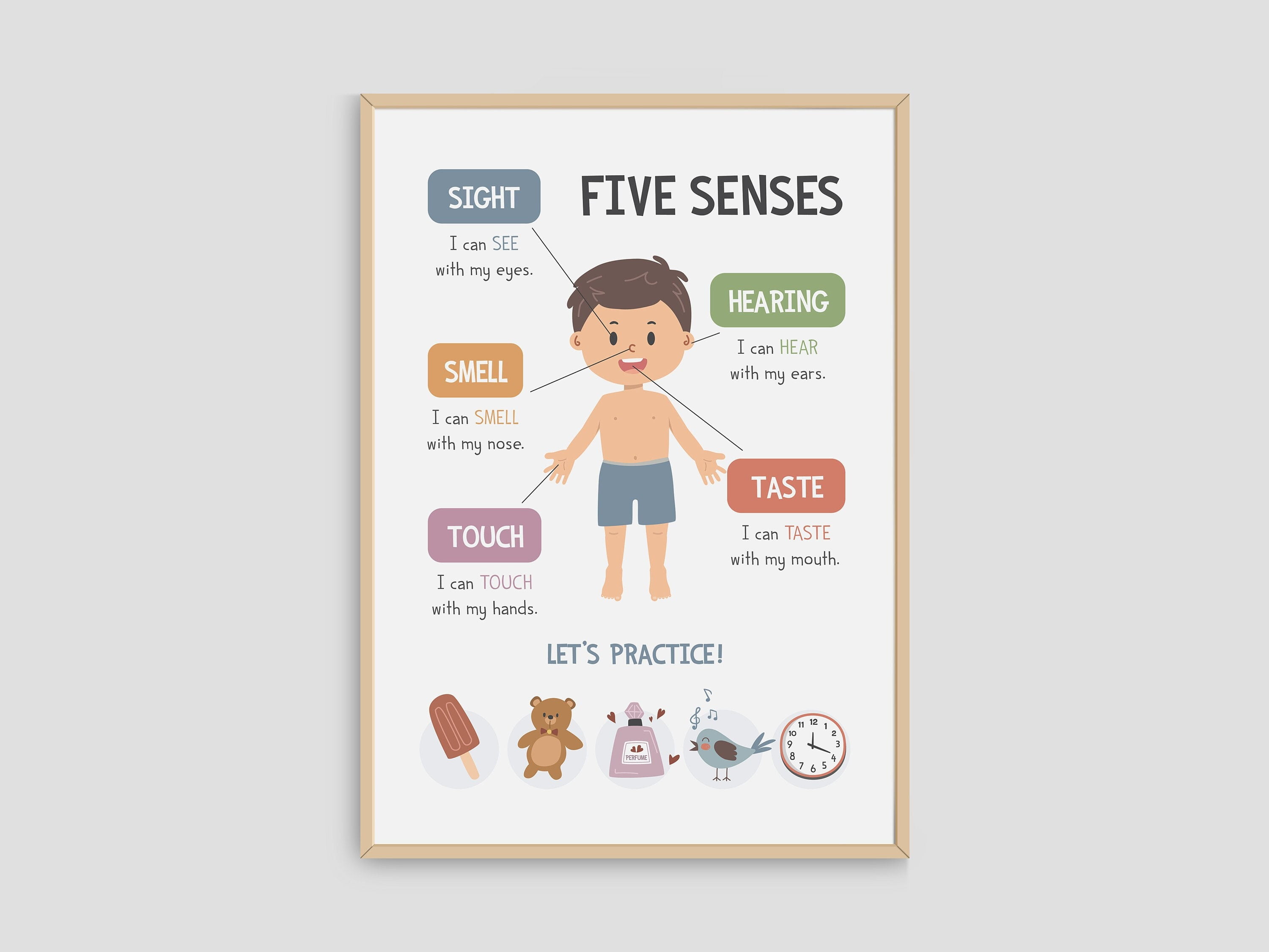 POSTER Five Senses Poster, Kids Classroom Decor Wall Art, 5 Senses Wall ...