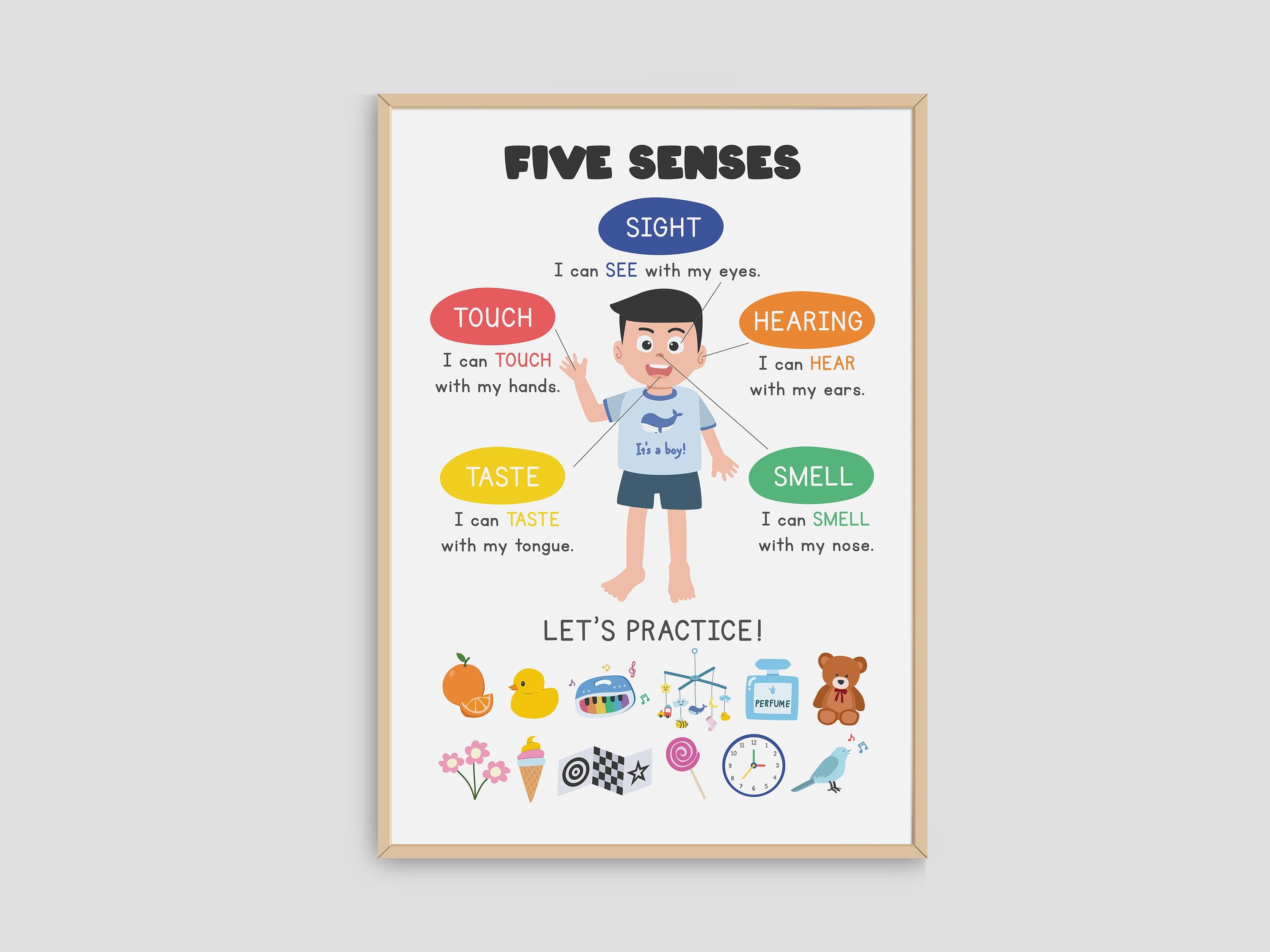 POSTER Five Senses Poster Wall Art, Montessori Homeschool Educational ...
