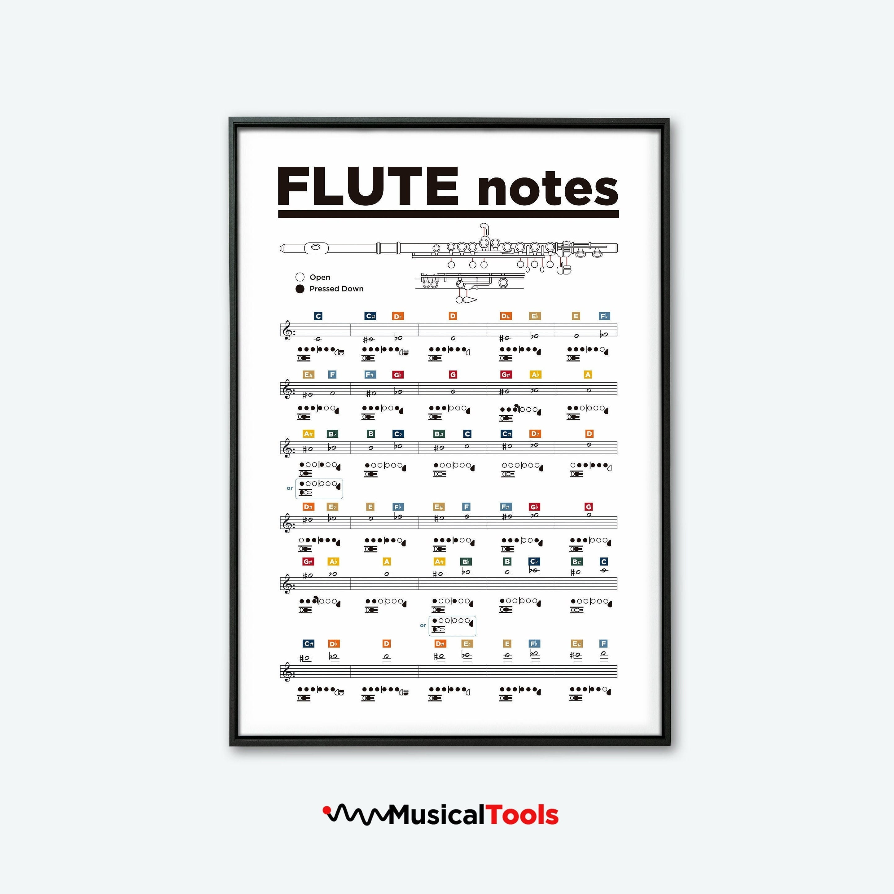 POSTER Flute Chart. Transverse Flute Poster. Transverse Flute Notes ...