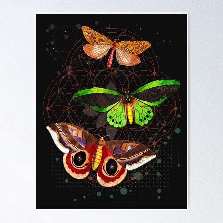 POSTER Flying of Butterflies Mantra Meditation POSTER UNFRAMED, 8x12 ...