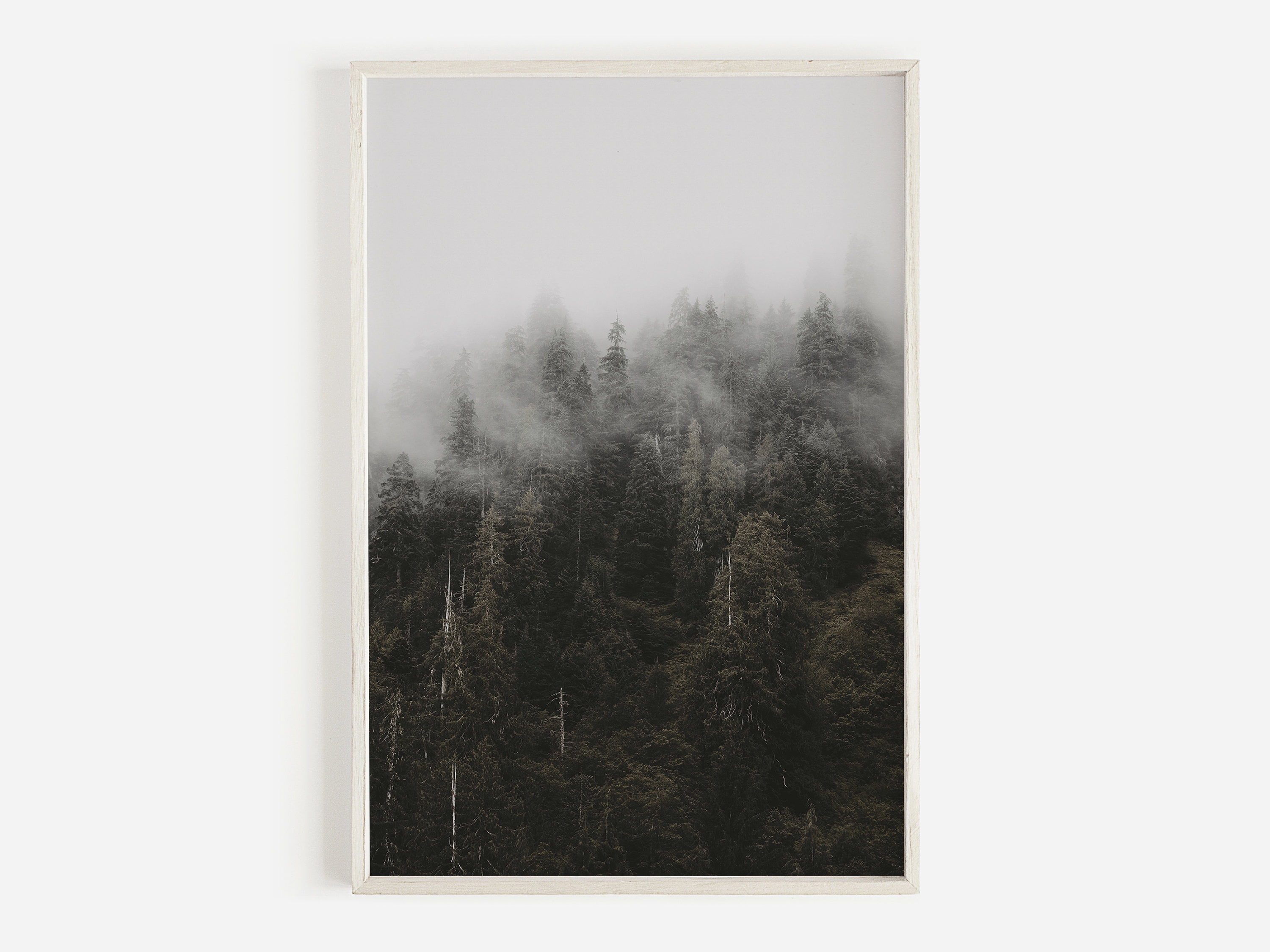 POSTER Foggy Pine Forest, Landscape Photo, Woodland Photography, Cabin ...