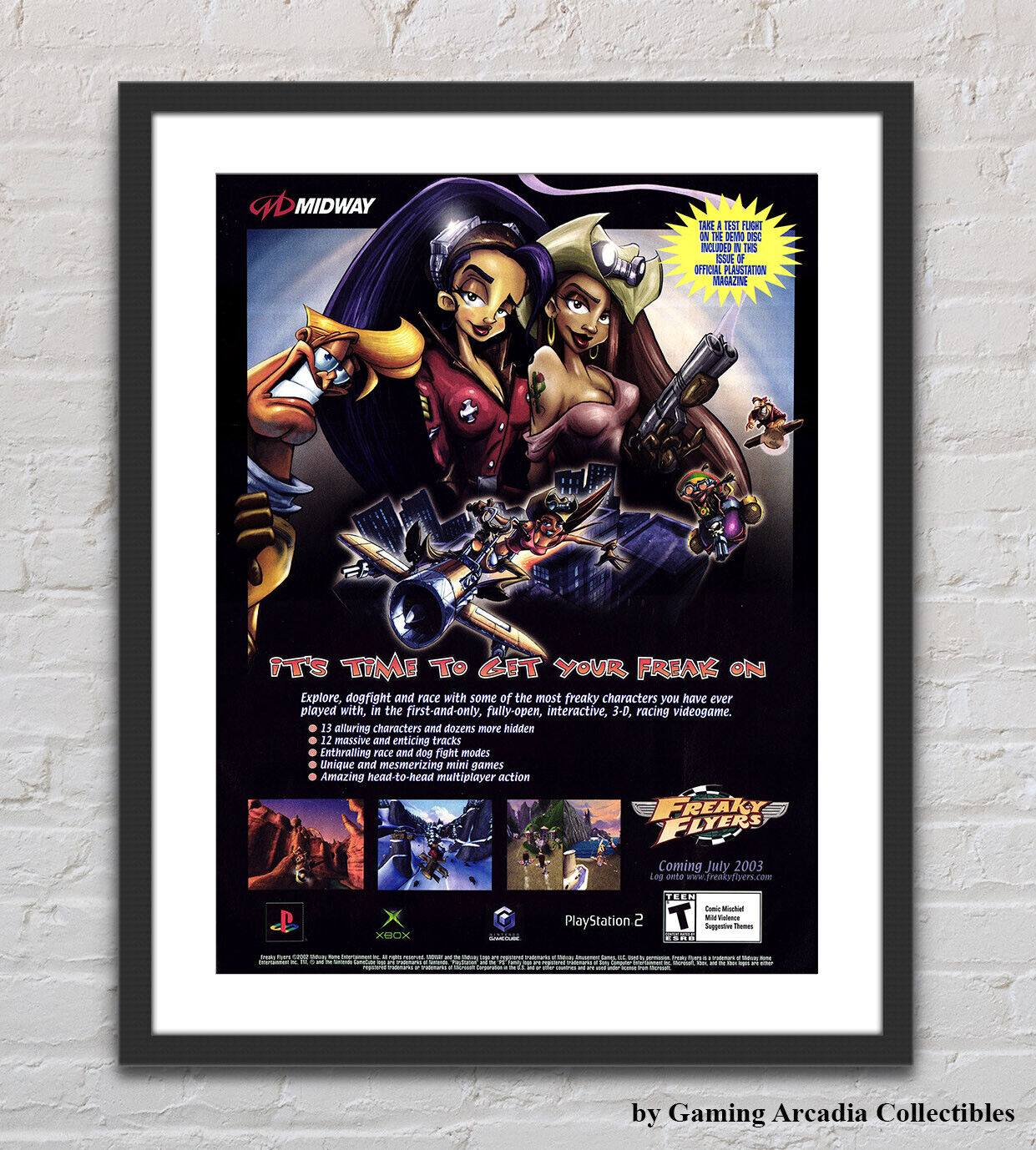 POSTER Freaky Flyers PS2 XBOX Gamecube Poster-8x12-UNFRAMED - Walmart.com