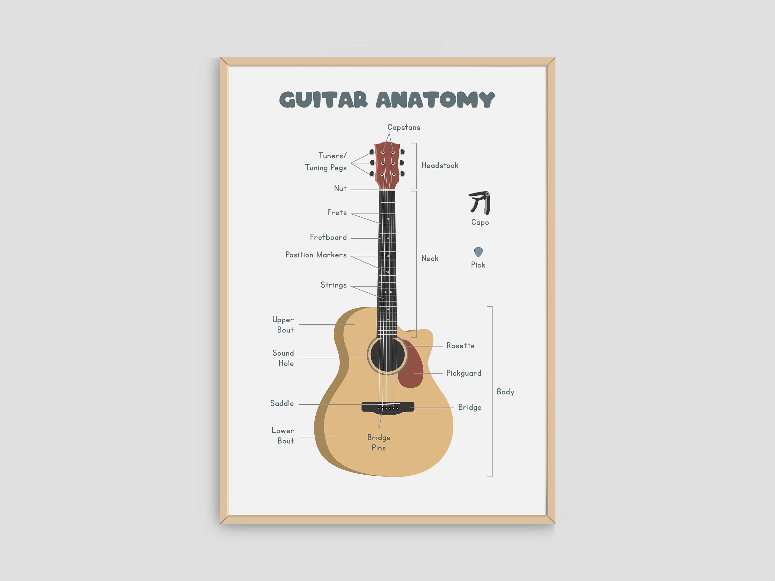 POSTER Guitar Anatomy Simple Chart , Guitar Theory Poster For Beginners ...