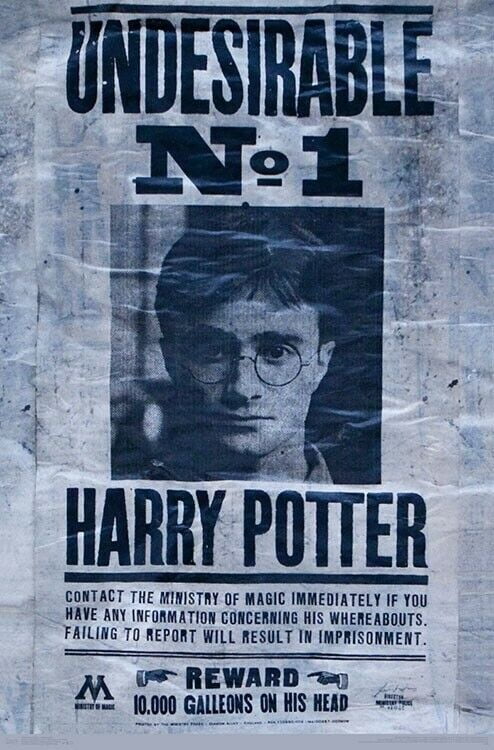 POSTER HARRY POTTER - UNDESIRABLE NO 1 POSTER - - 17575-24x36-UNFRAMED ...