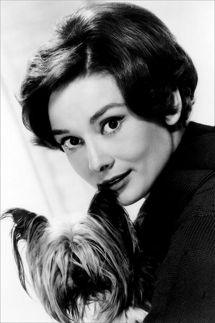 POSTER Hepburn Audrey Artist Fashion Model Actress Print Wall Art Home ...