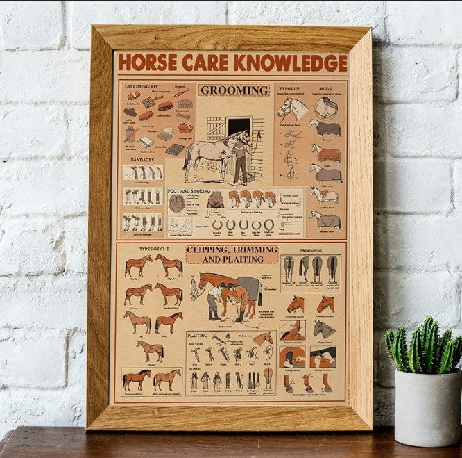 POSTER Horse Care Knowledge, Horse Breeds, Horse Knowledge Poster ...