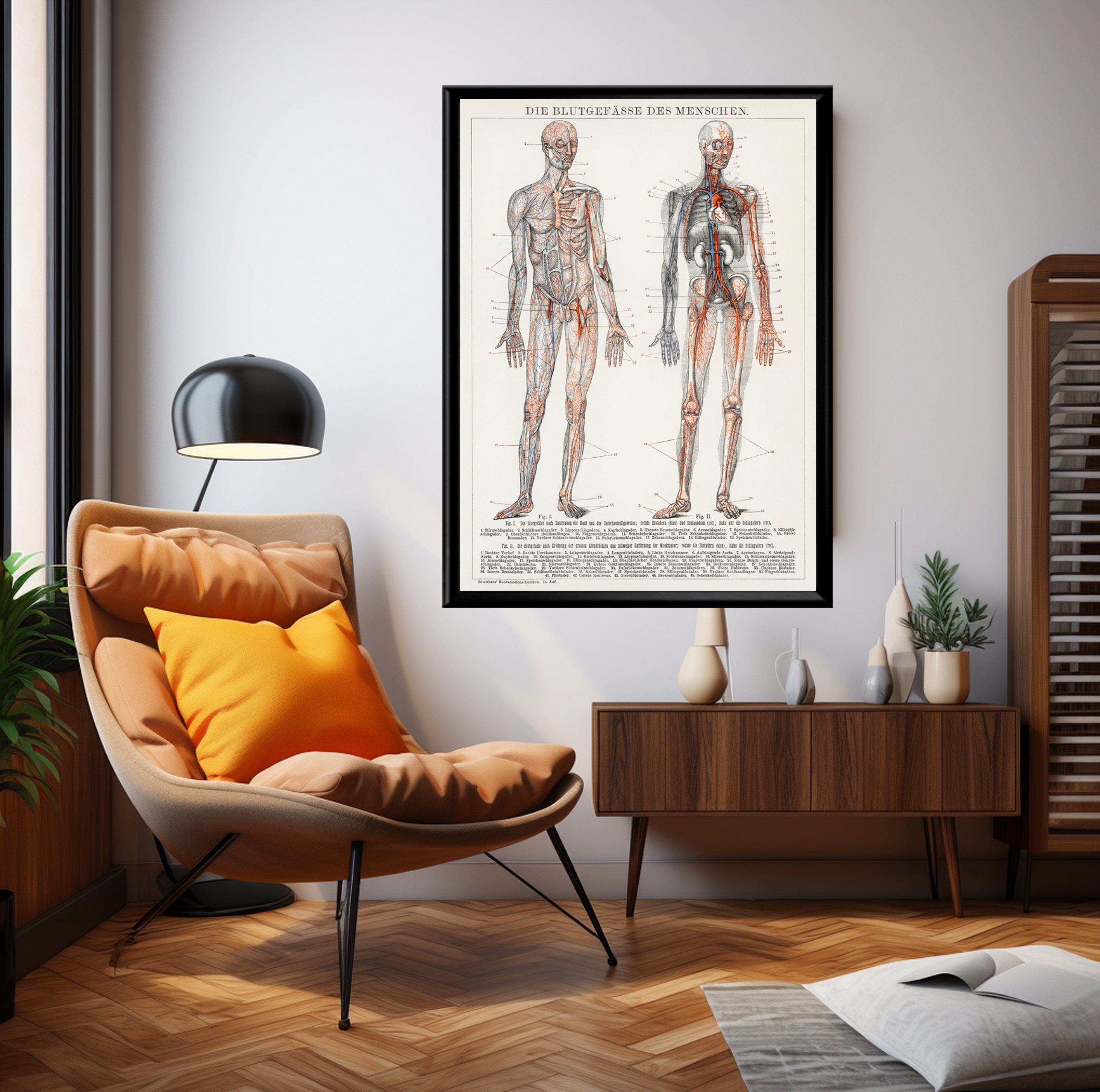 POSTER Human Circulatory System Poster, Vintage Medical Illustration ...