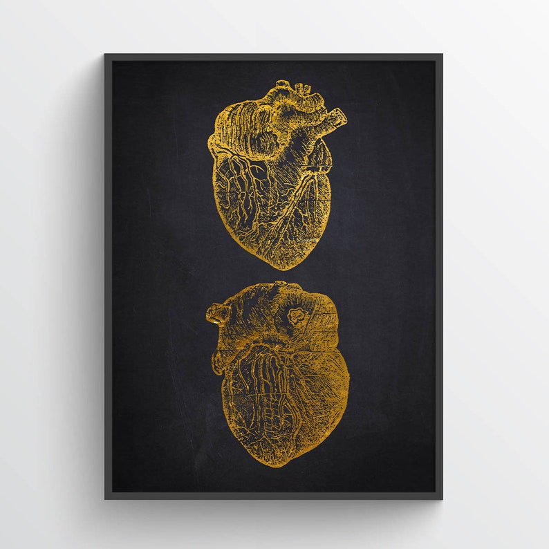 POSTER Human Heart Anatomy Print, Cardiologist Gift idea, Cardiology ...