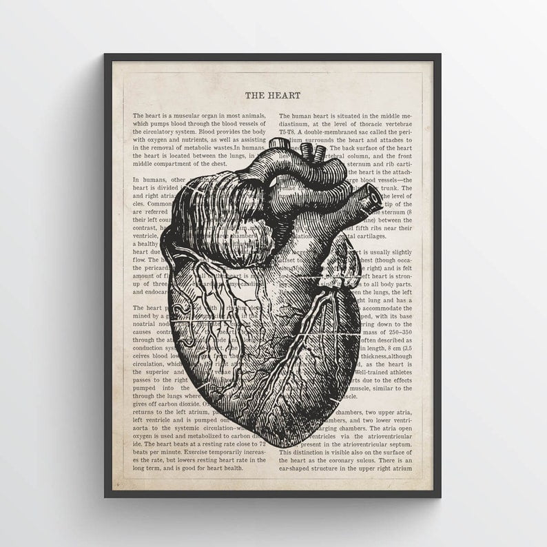 POSTER Human Heart Anatomy Print, Medical Poster, Cardiologist Gift ...