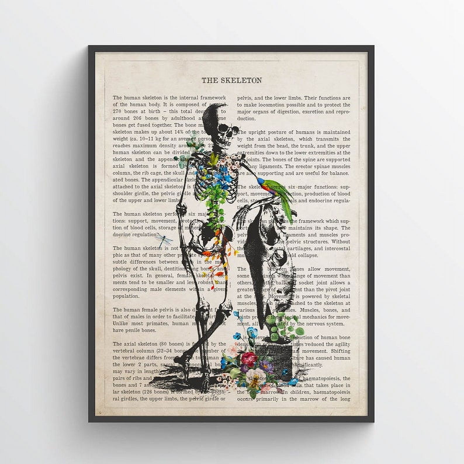 POSTER Human Skeleton Anatomy Print, Doctor Office Decor, Physician ...