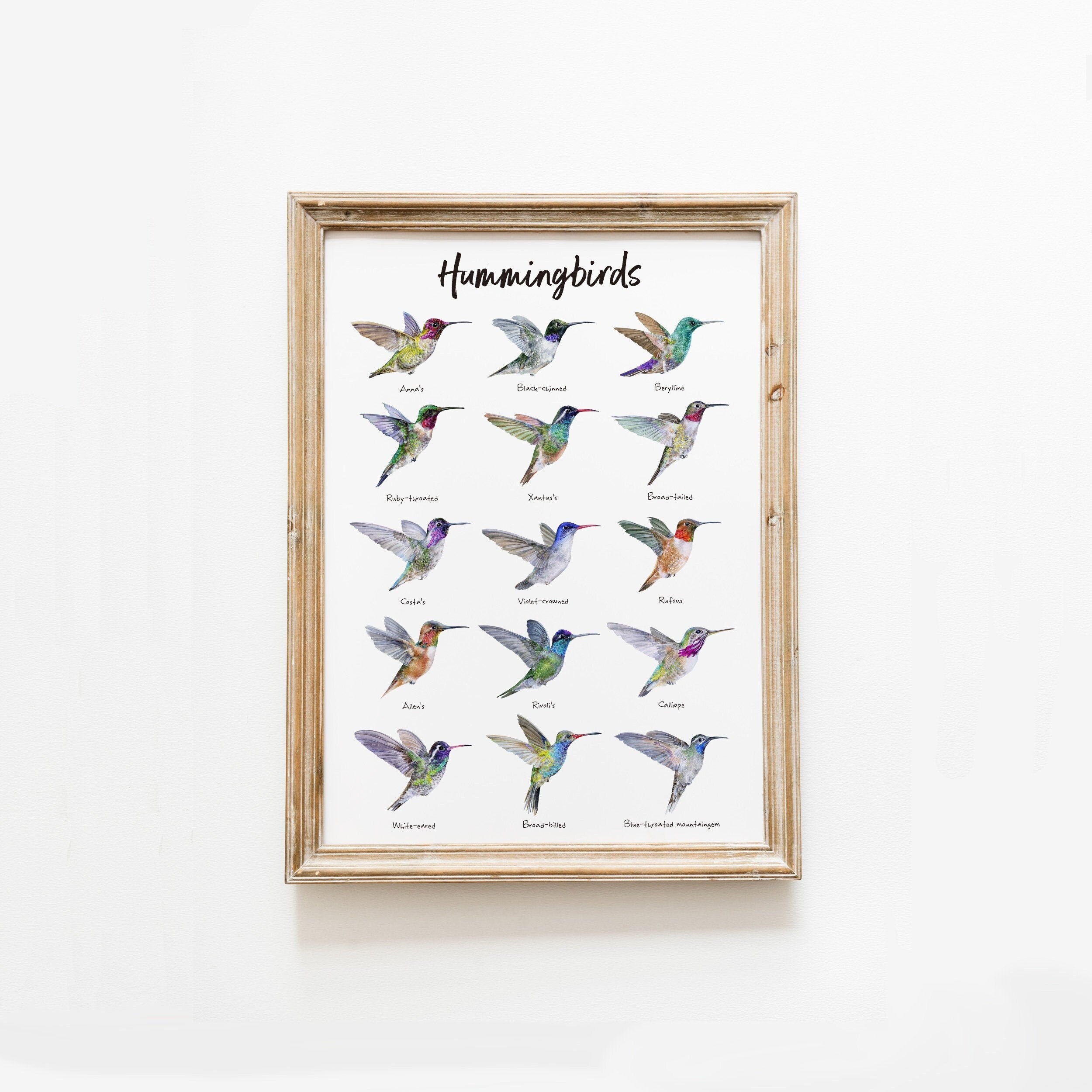POSTER Hummingbirds in Flight art print | Hand painted in watercolor ...
