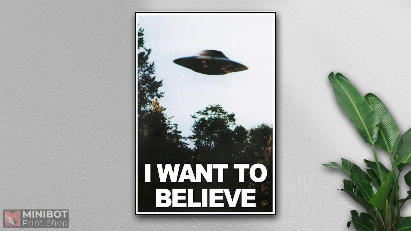 POSTER I want to believe - UFO - Poster from X-Files-UNFRAMED - Walmart.com