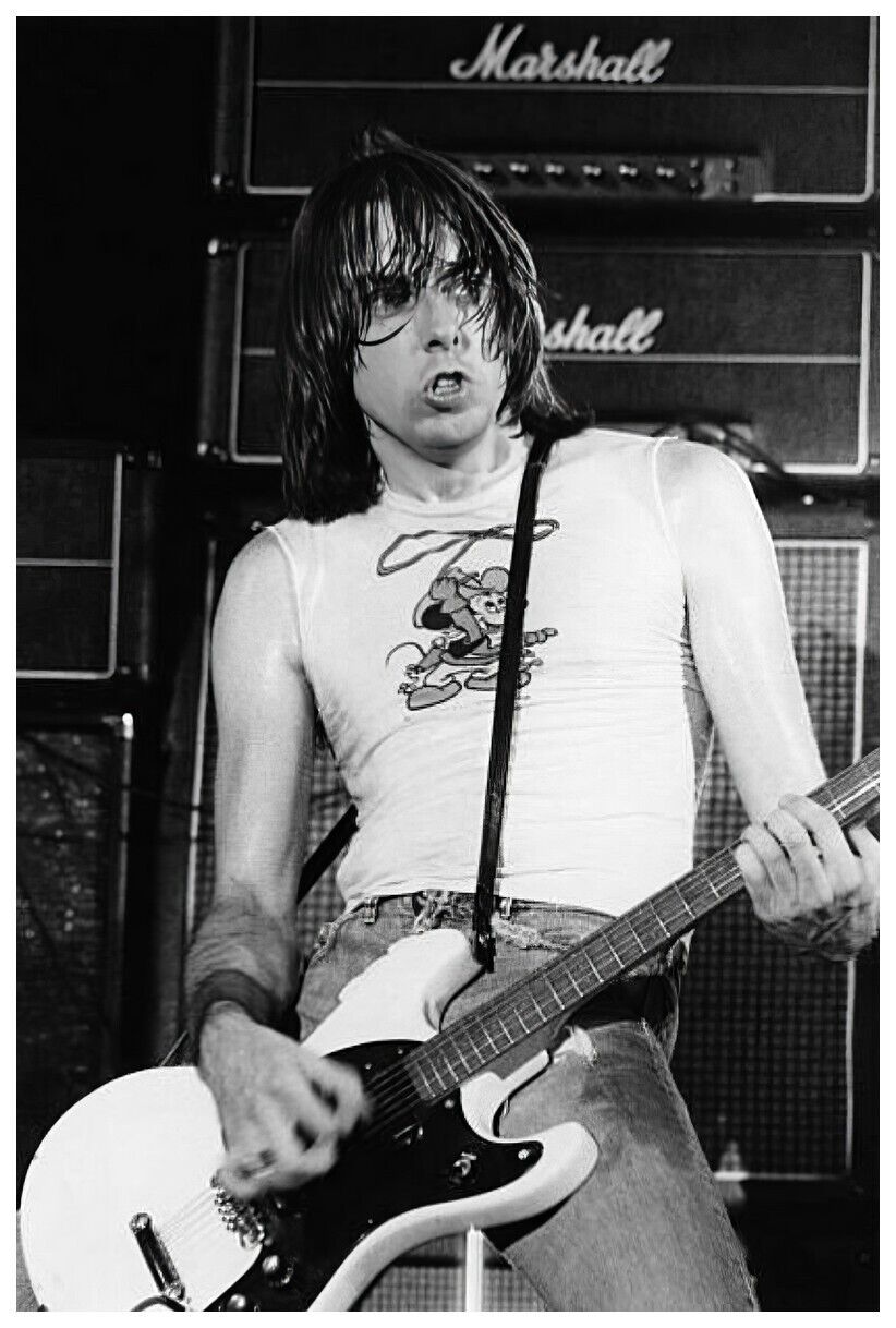 POSTER Johnny Ramone Poster Live Concert Photo Rare Wall Art Print - JR03-16x24-UNFRAMED ...