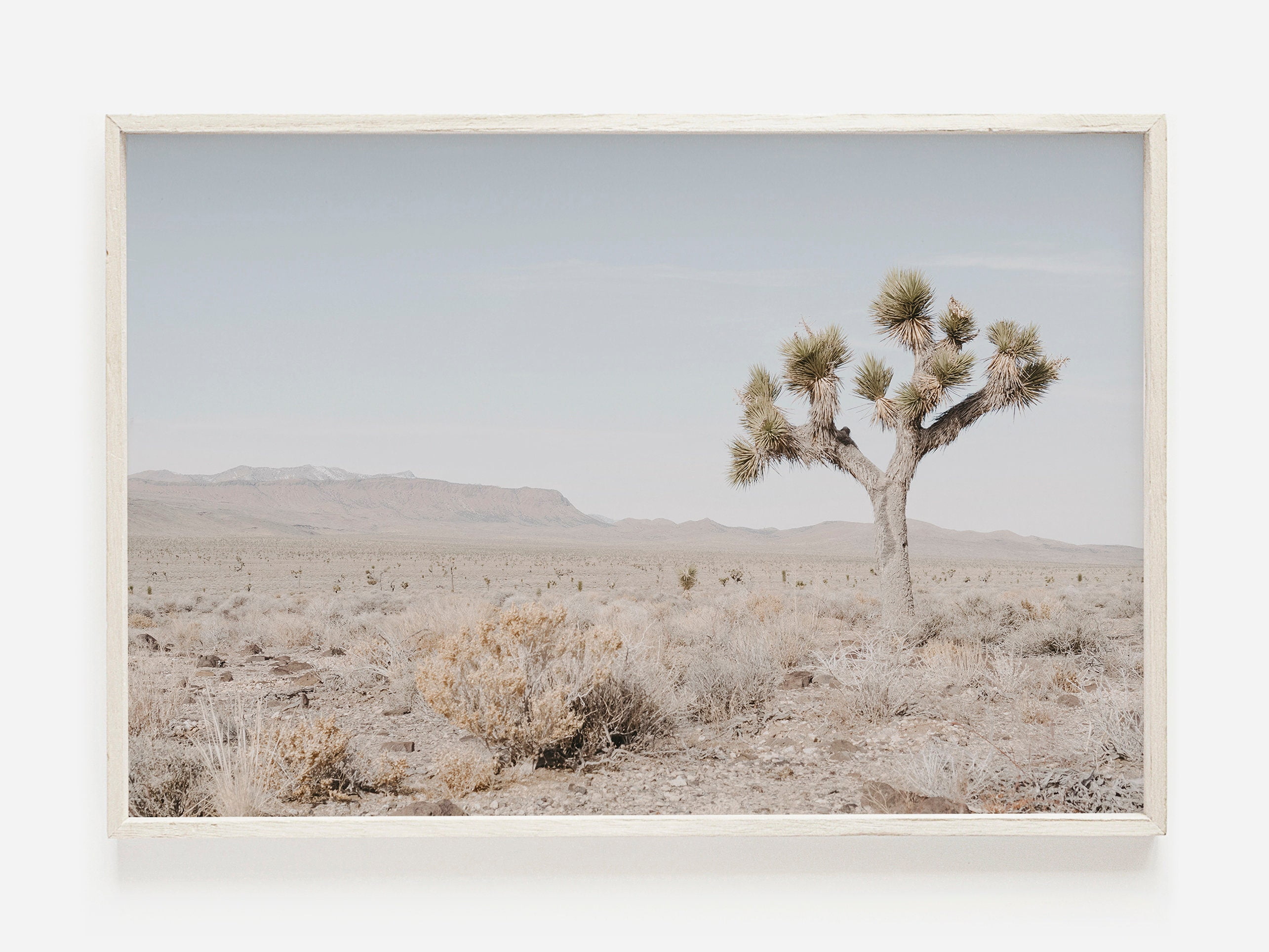 POSTER Joshua Tree Desert, California Wall Art, Joshua Tree California ...