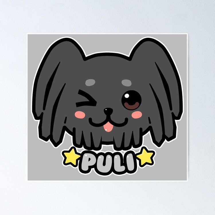 POSTER KAWAII Puli Dog Face Poster NO FRAMED, 12x18 - Walmart.com