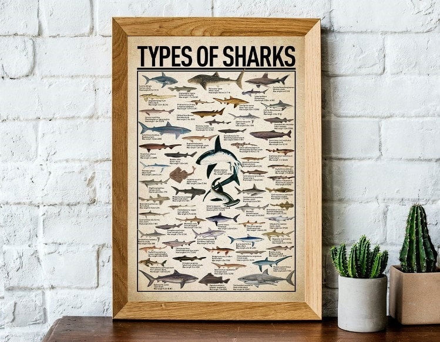 POSTER Knowledge Poster, Types Of Sharks Poster, Wall Art, Home Decor ...