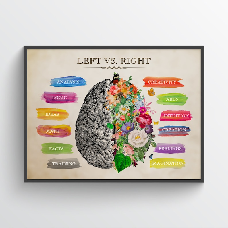 POSTER Left versus right brain function Anatomy Print, Psychology ...
