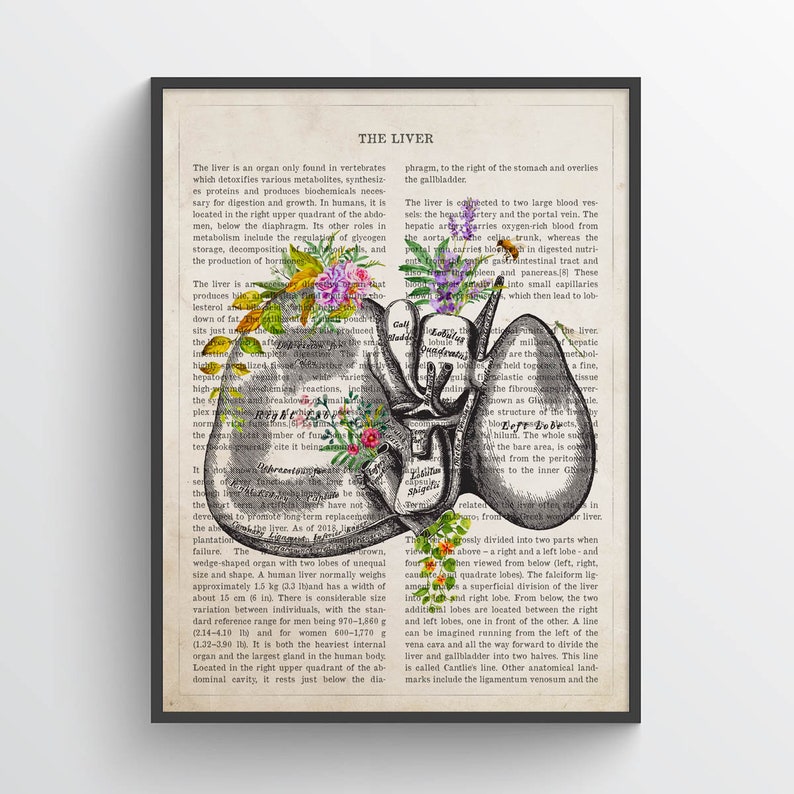 POSTER Liver Anatomy Flower Print, Hepatologist Gift ...