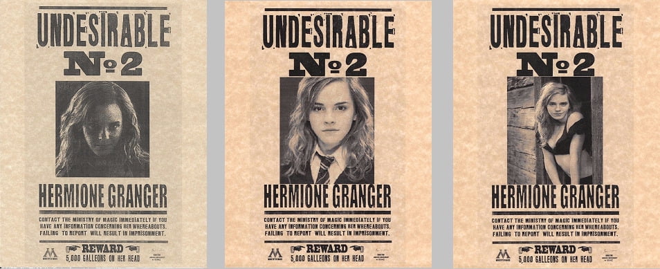 POSTER Lot of 3 Harry Potter Undesirable Hermione Granger Poster/Print ...
