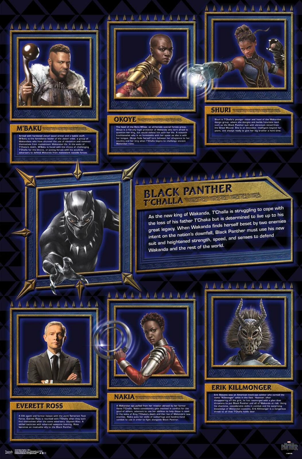 POSTER Marvel Cinematic Universe: Black Panther - Bios Poster-16x24 ...