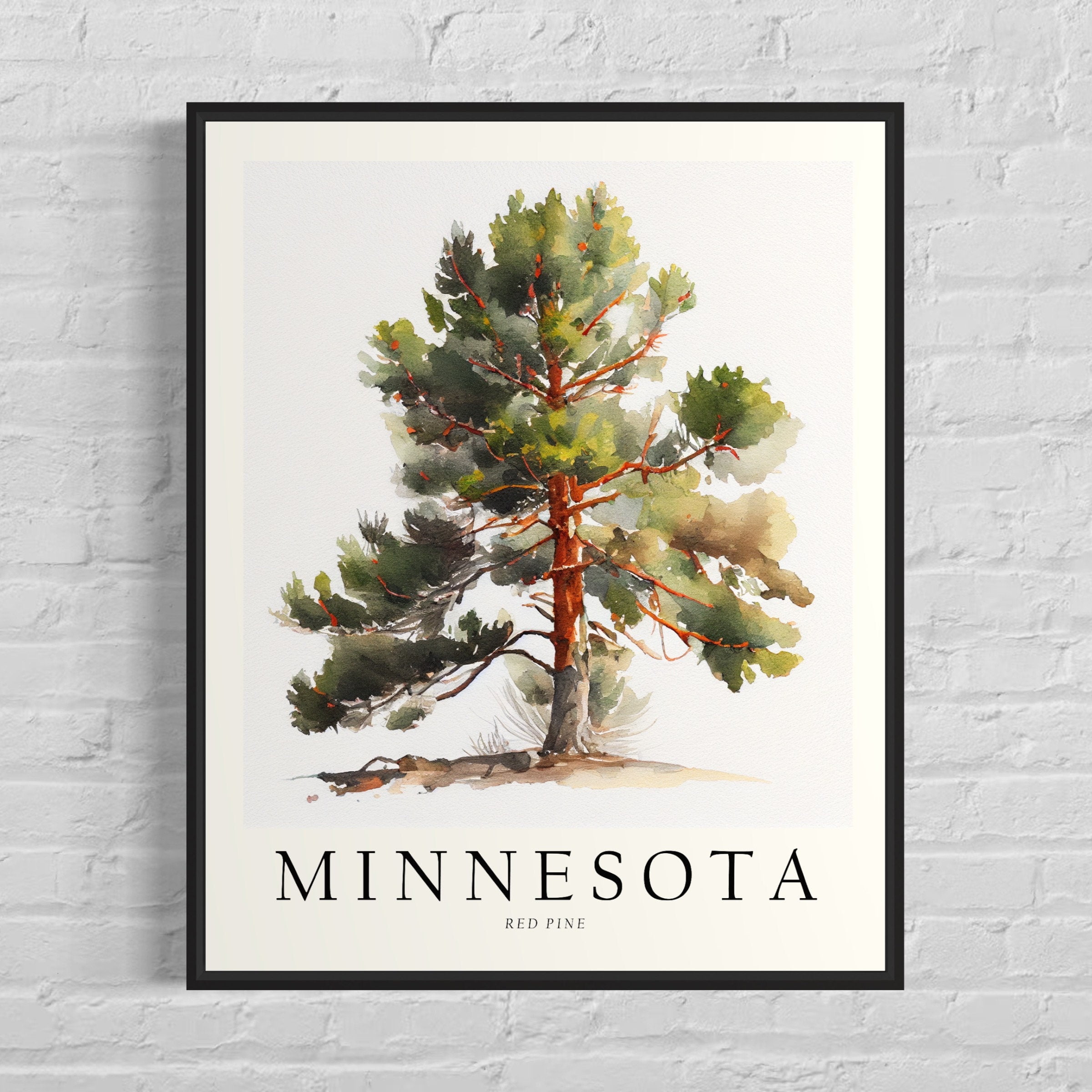 POSTER Minnesota State Tree Art Print, Red Pine Tree Wall Art, State ...