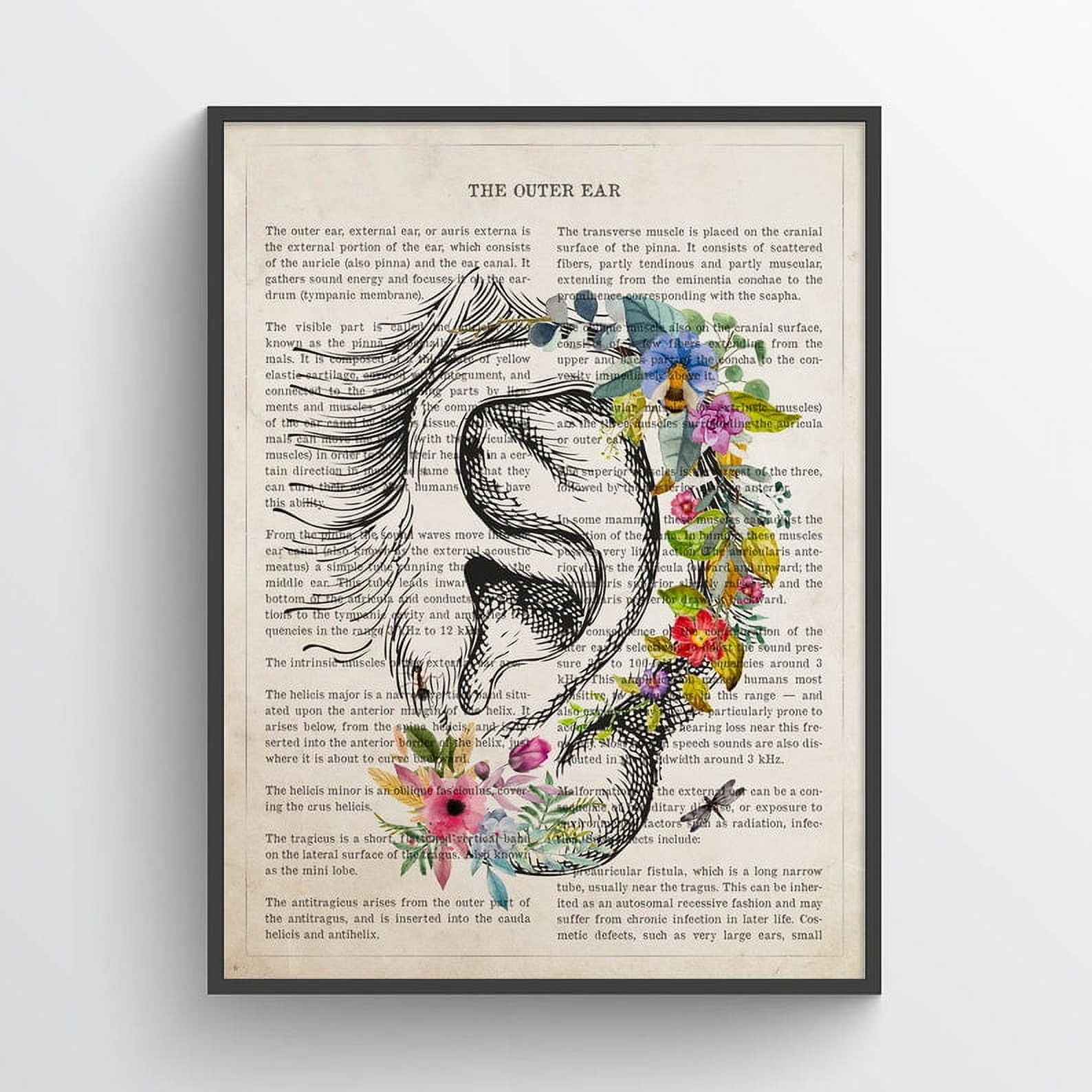 POSTER Outer Ear Anatomy Flower Print, Gift for Audiologist, Hearing ...