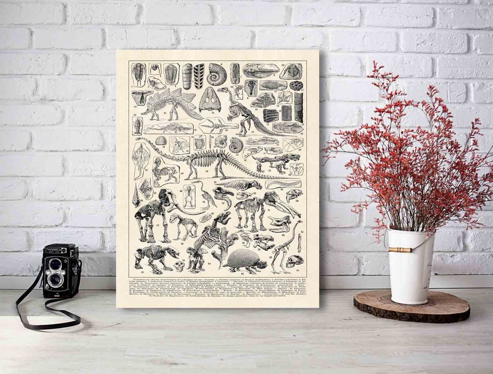 POSTER Paleontology Poster, Extinct Animals, Prehistoric Art, Dinosaur ...