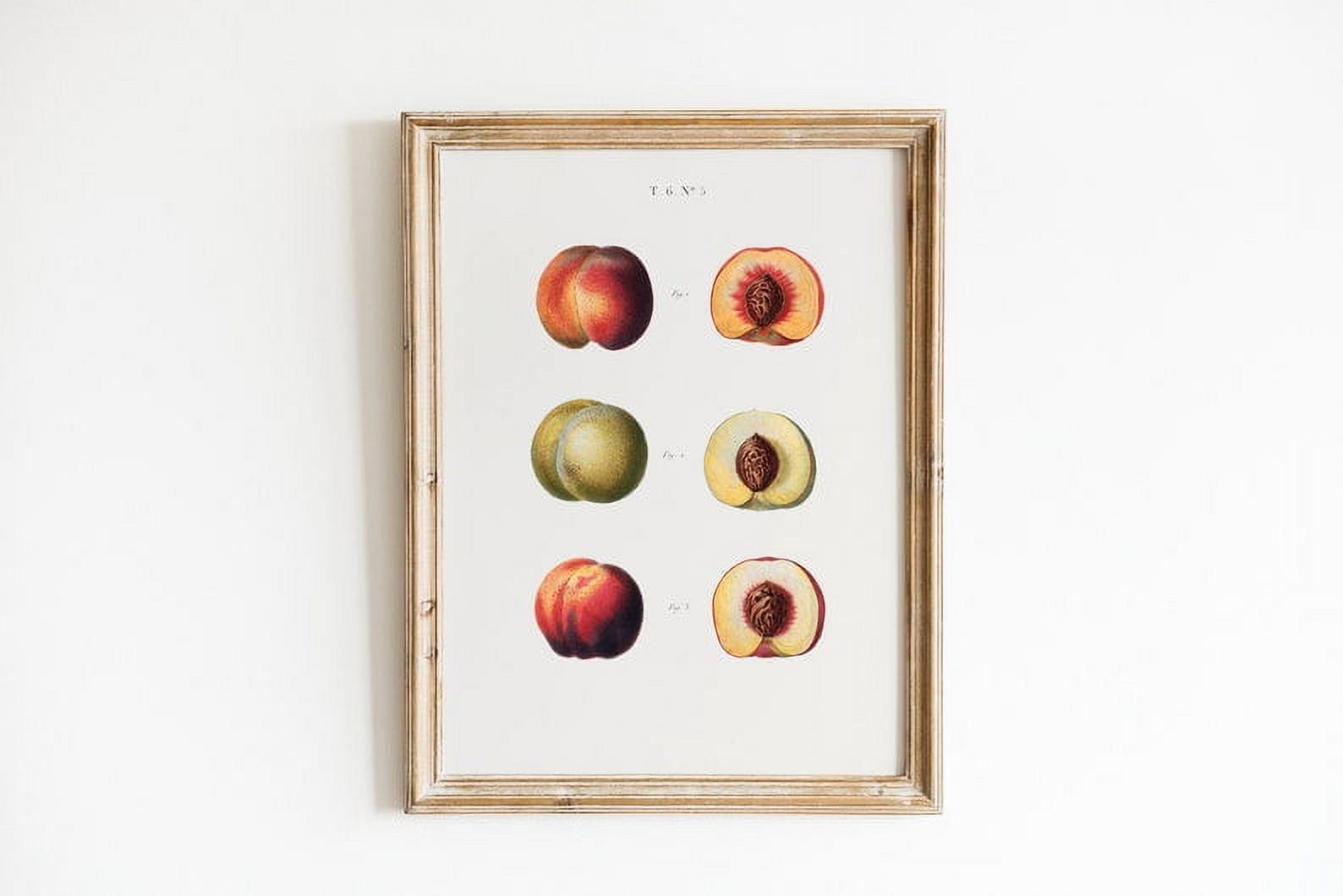 POSTER Peach Fruit Painting Kitchen Wall Art Vintage Stone Fruit ...