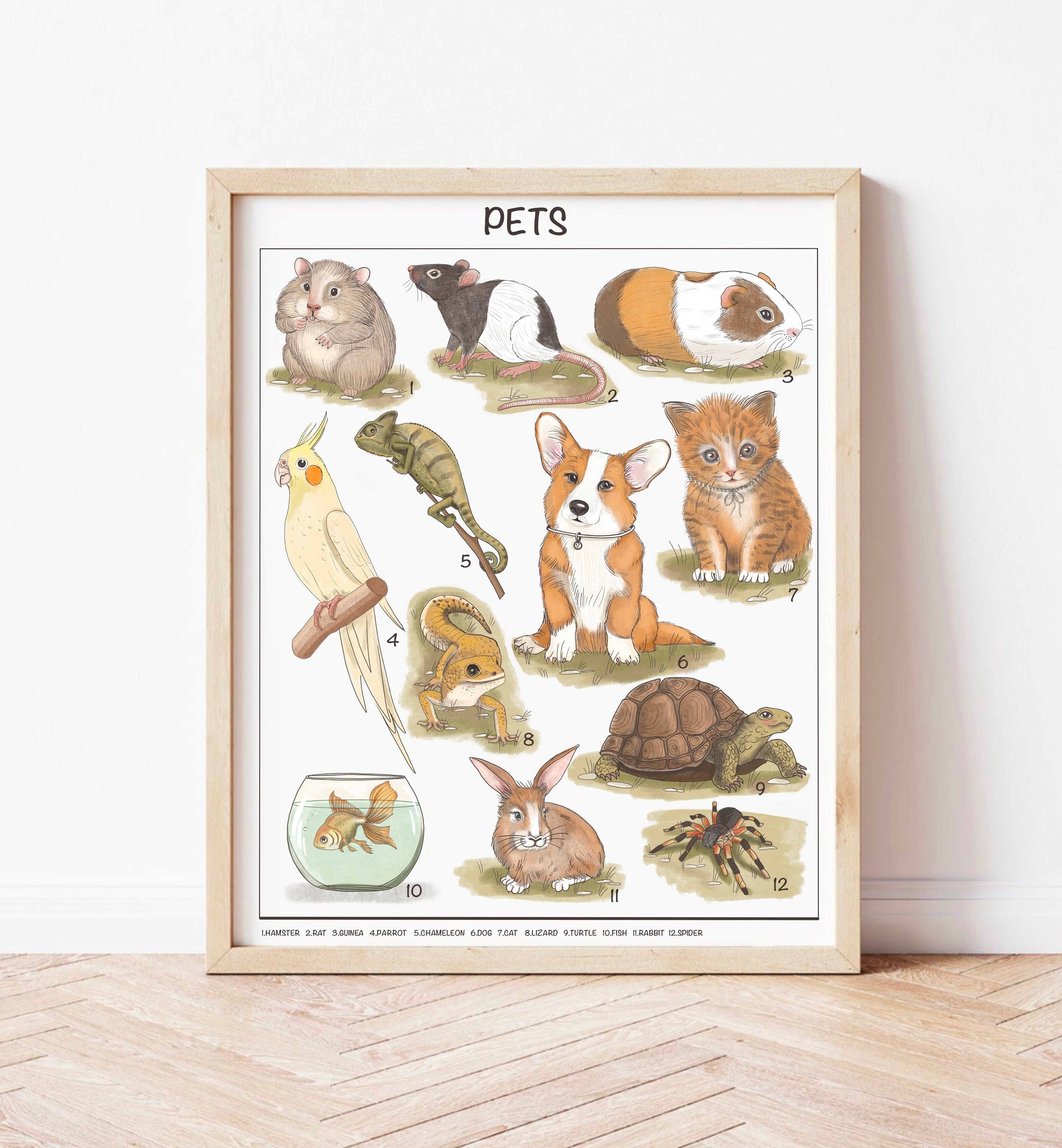 POSTER Pets Poster Homeschool Print Montessori Wall Art Classroom ...