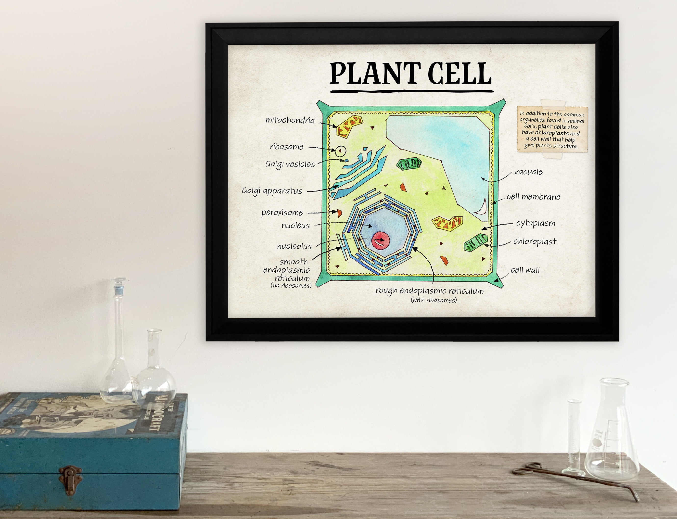 POSTER Plant Cell Cellular Structure Classroom Poster. Fine Art Paper ...