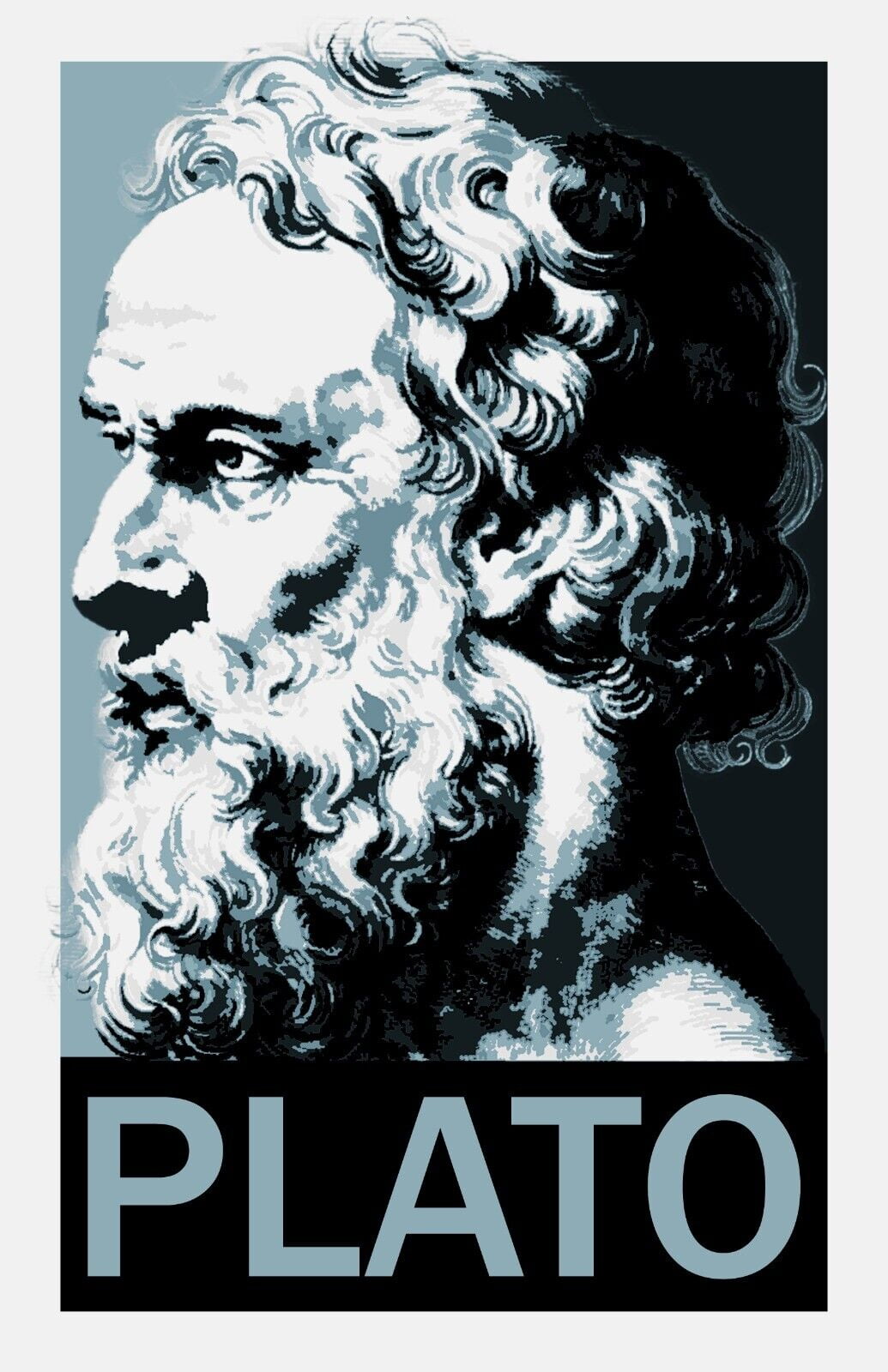 POSTER Plato Ancient Greek Philosopher Philosophy Motivation Success ...