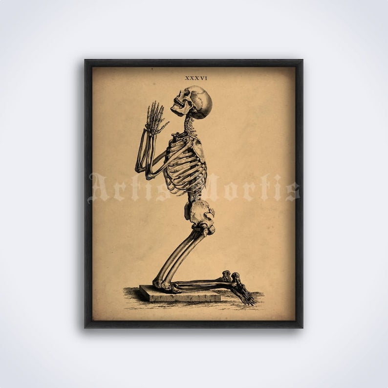 POSTER Praying skeleton - anatomy, human skeleton, skull art ...
