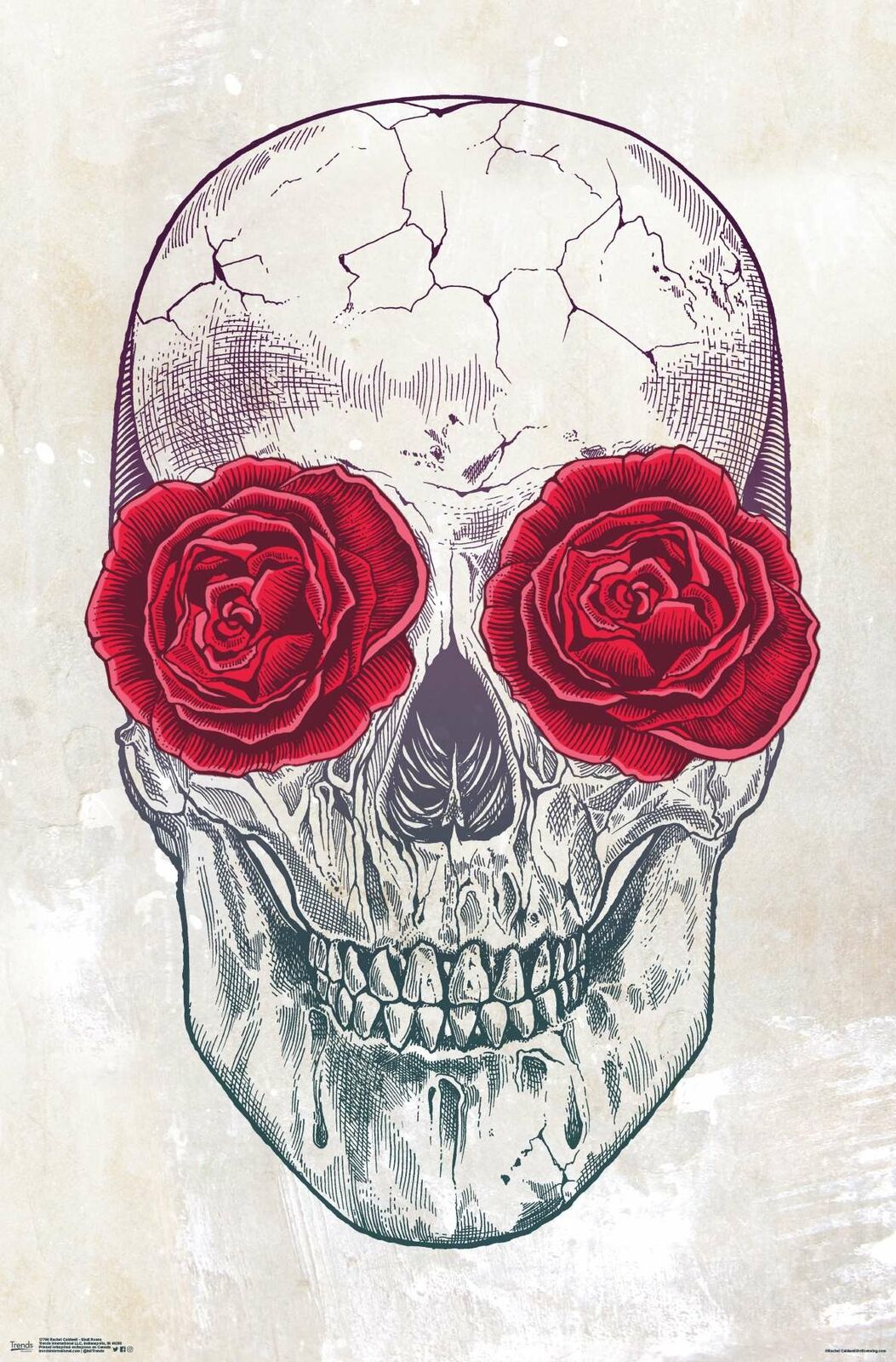 POSTER Rachel Caldwell - Skull Roses Poster-12x18-UNFRAMED - Walmart.com