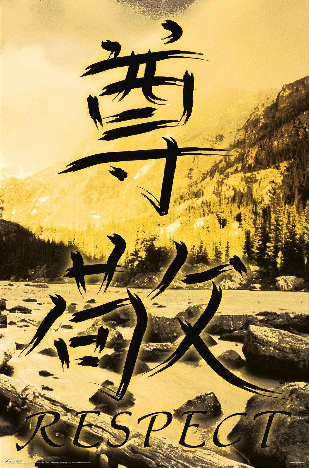 POSTER Respect Poster-8x12-UNFRAMED - Walmart.com