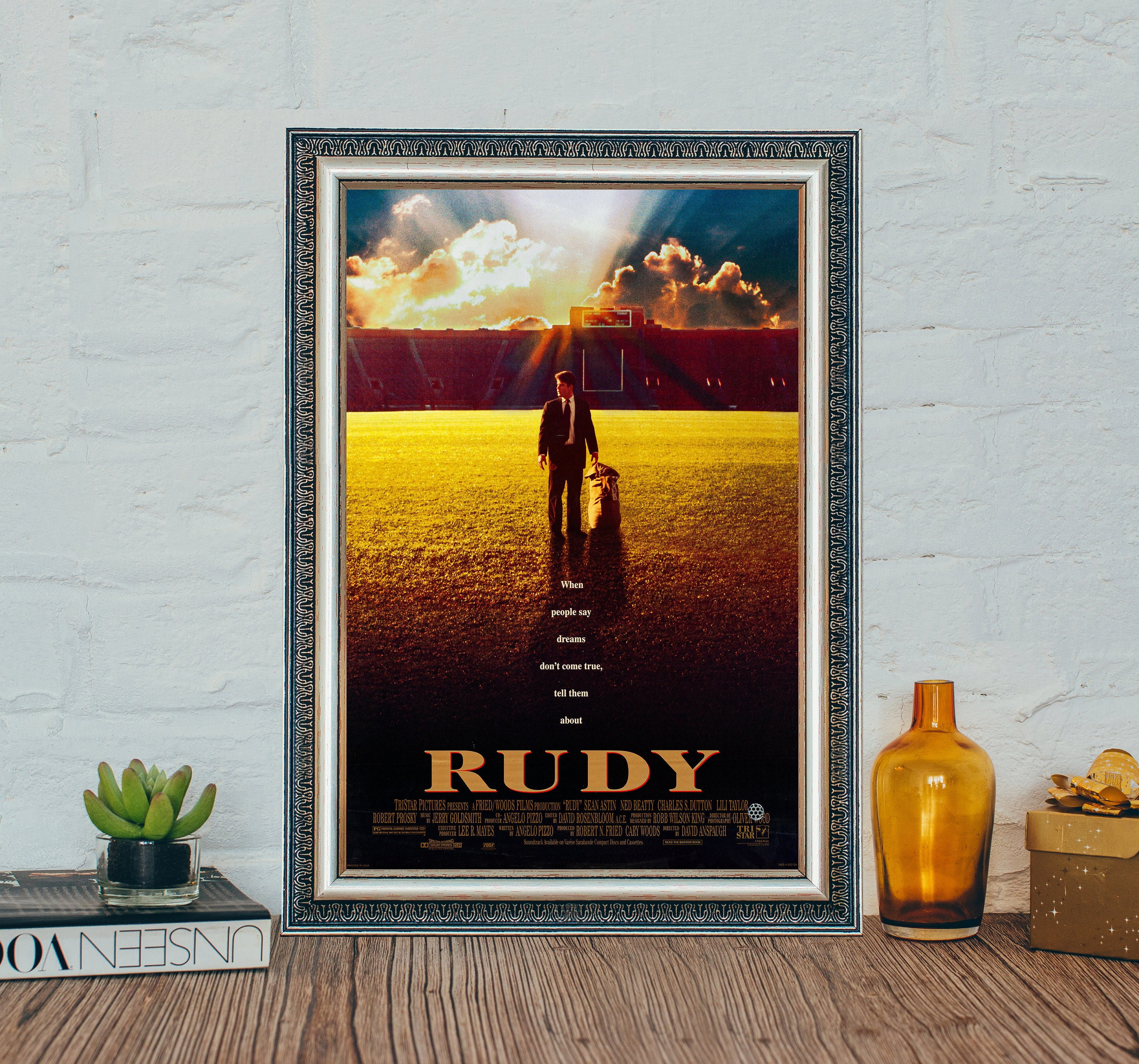 POSTER Rudy (1993) Movie Poster, Rudy Classic Vintage Movie Poster, Classic Movie Cloth Poster ...