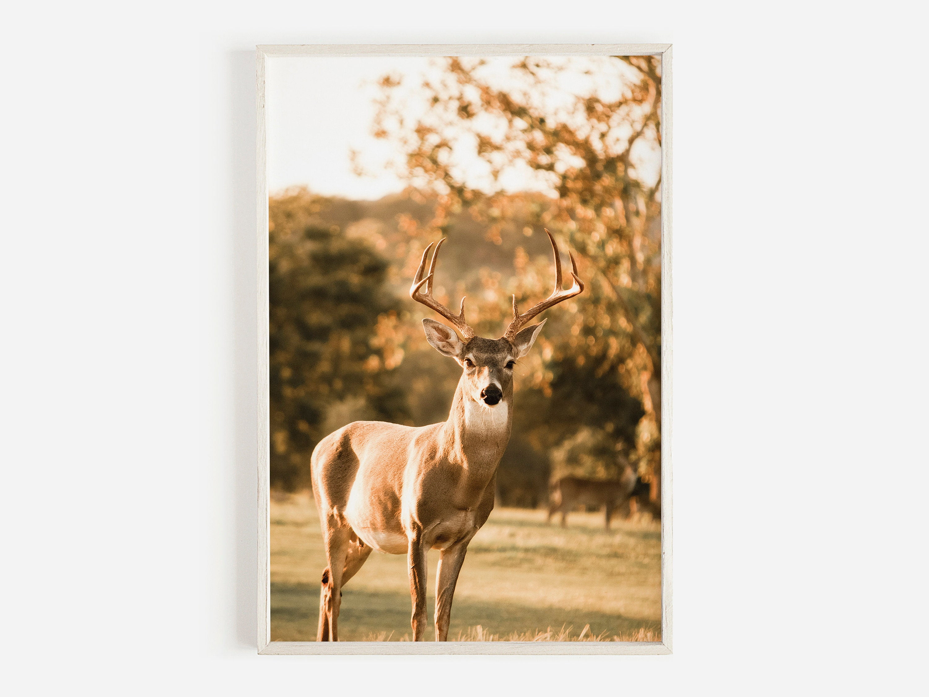 POSTER Rustic Deer Print, Whitetail Deer Photo, Midwest Wall Art ...