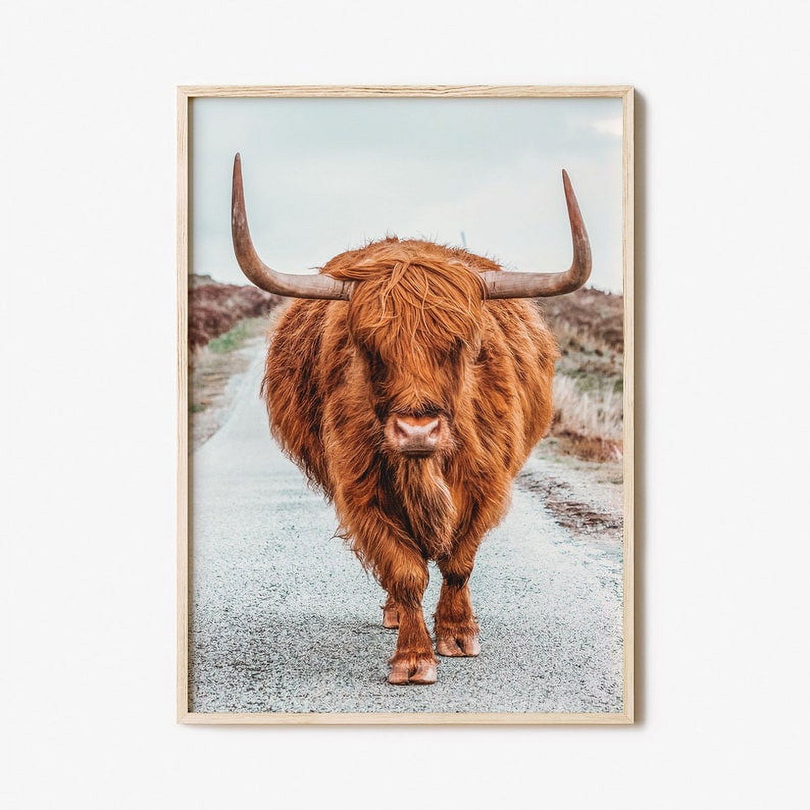 POSTER Scottish Highlander Colorful Poster Print No 3, Scottish ...