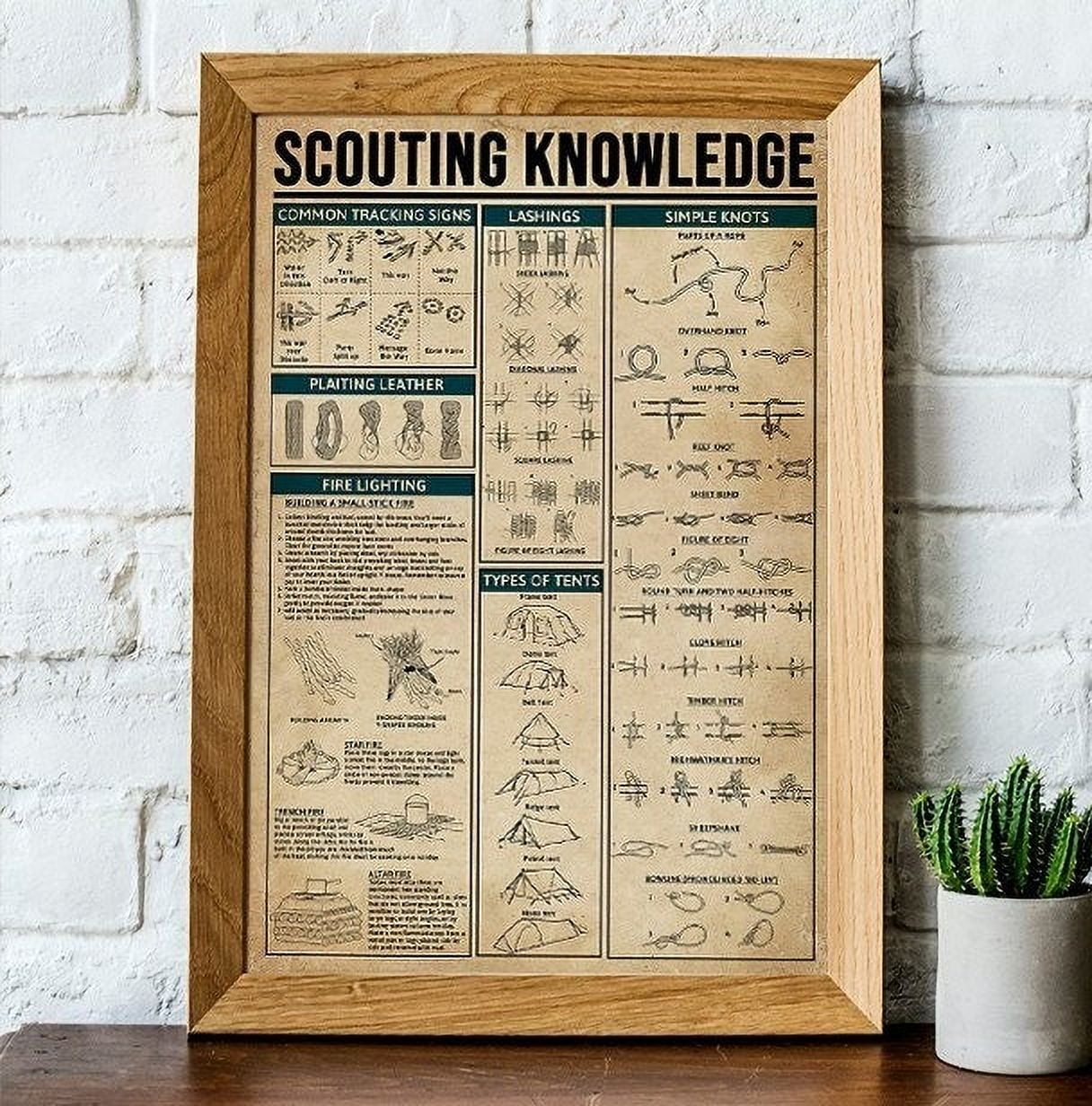 POSTER Scouting Knowledge Poster, Common Tracking Signs, Simple Knots ...