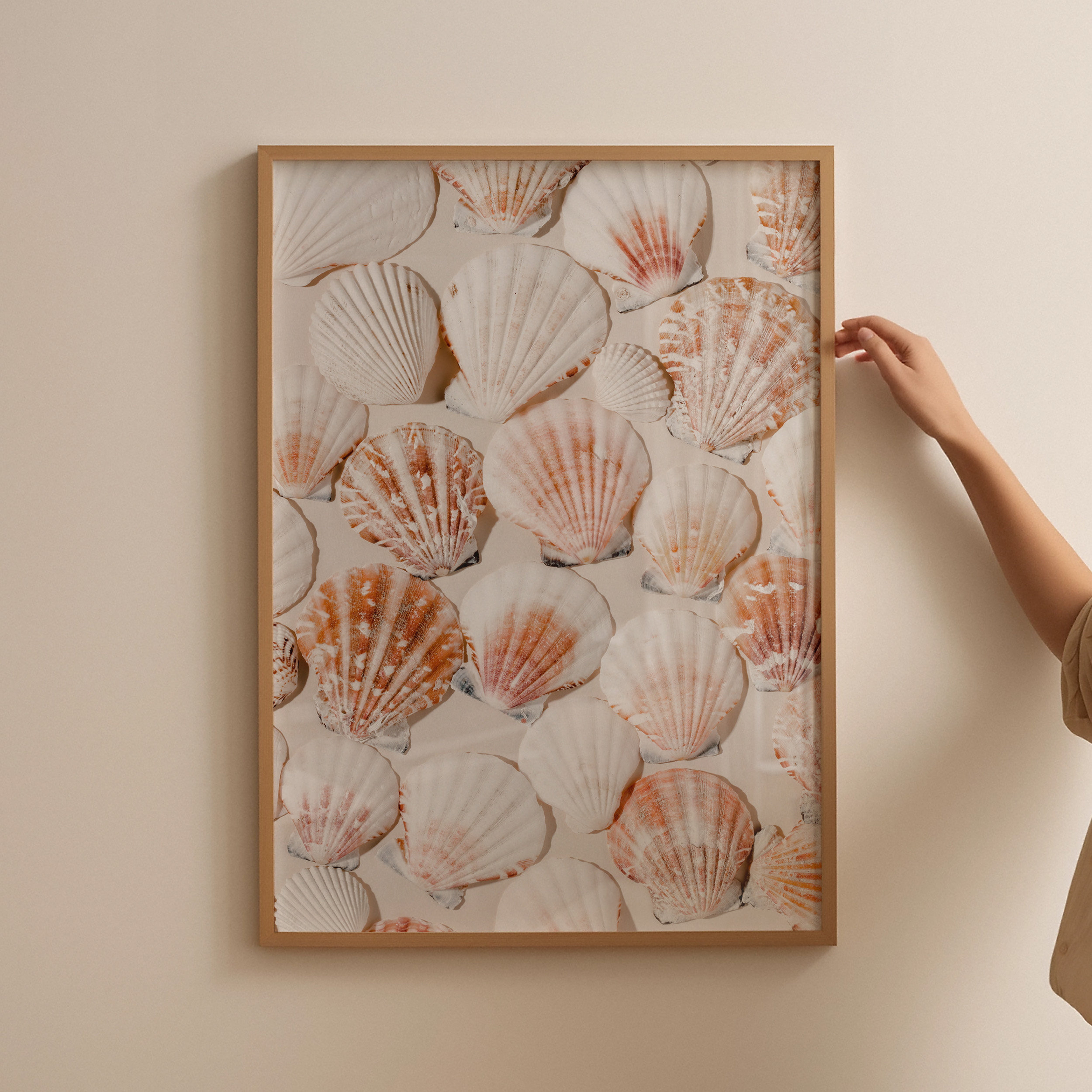 POSTER Seashell Art Print, Coastal Print, Seashell Art Print, Coconut ...