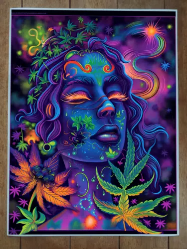 POSTER Shaman Woman Trippy Psychedelic Neon Poster UNFRAMED, 24x36 ...
