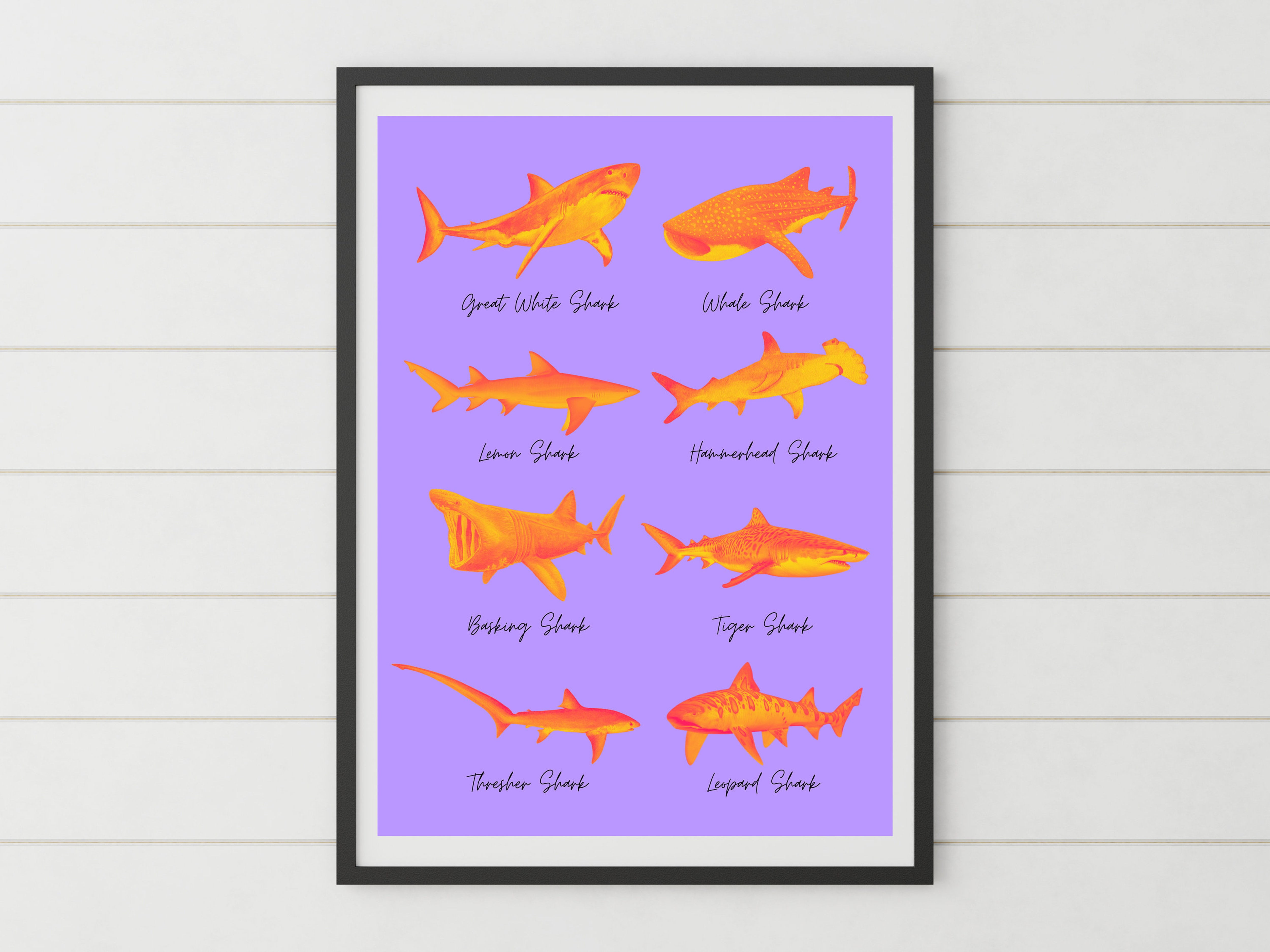 POSTER Shark Species Abstract Purple Orange Poster Print Home Decor ...