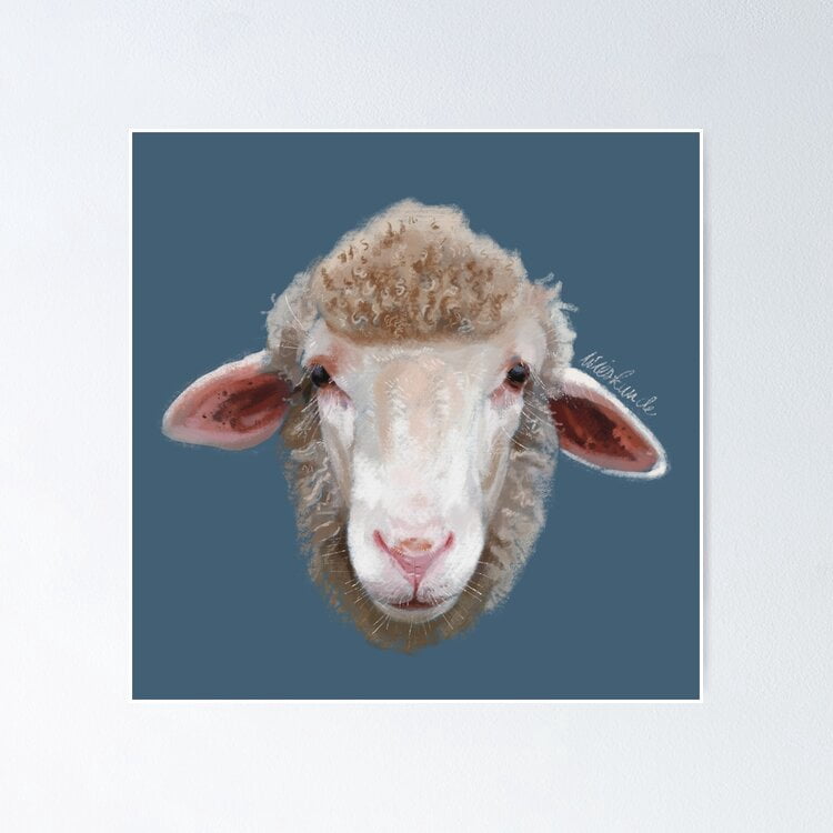 POSTER Soft Merino Sheep Woolly Face POSTER UNFRAMED, 8x12 - Walmart.com