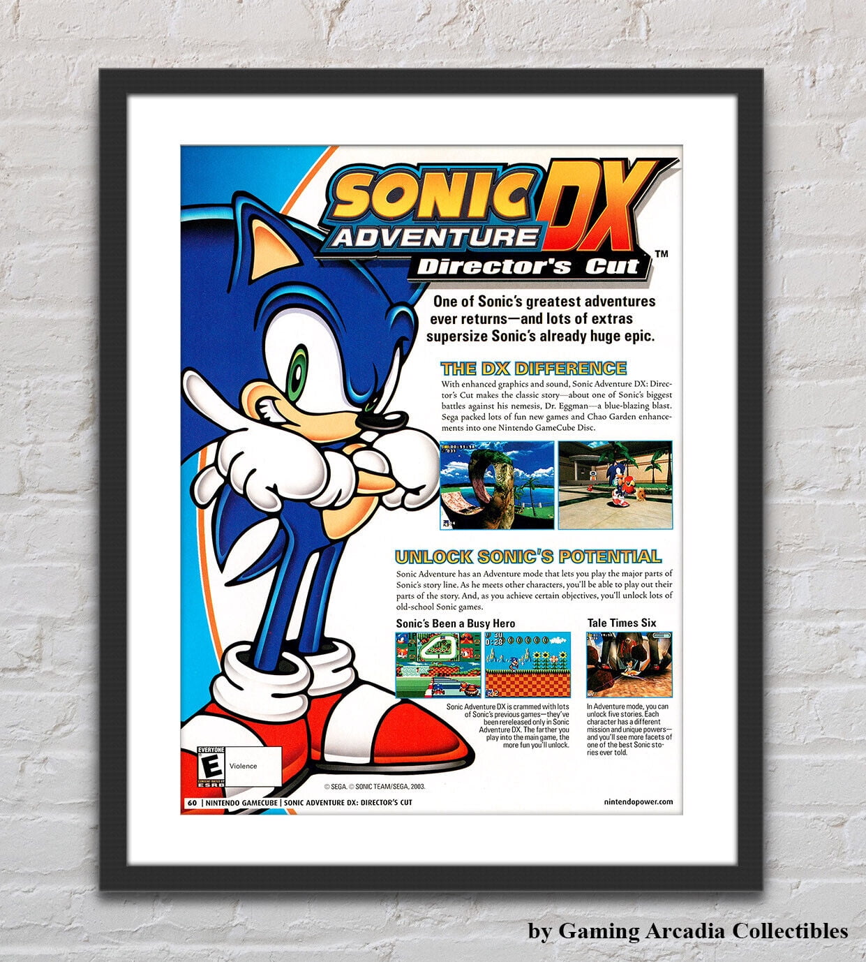 POSTER Sonic Adventure DS Director's Cut Gamecube Poster-8x12-UNFRAMED ...
