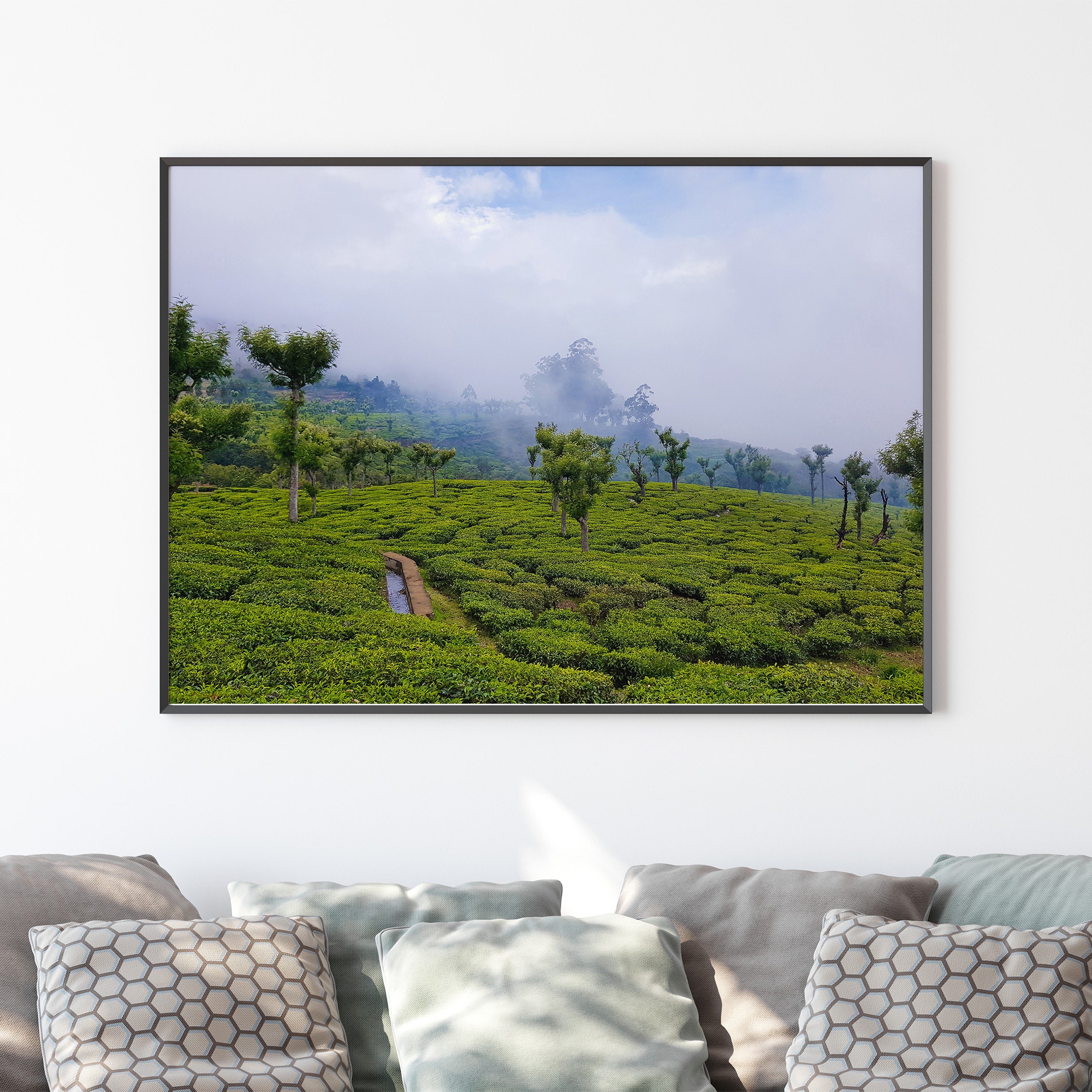 POSTER South India Wall Art, Tea Plantation in Ooty, Tamil Nadu, India ...